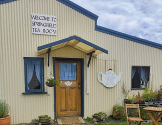 Springfield Tea House | bunch