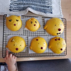 Cute Bao Buns | bunch