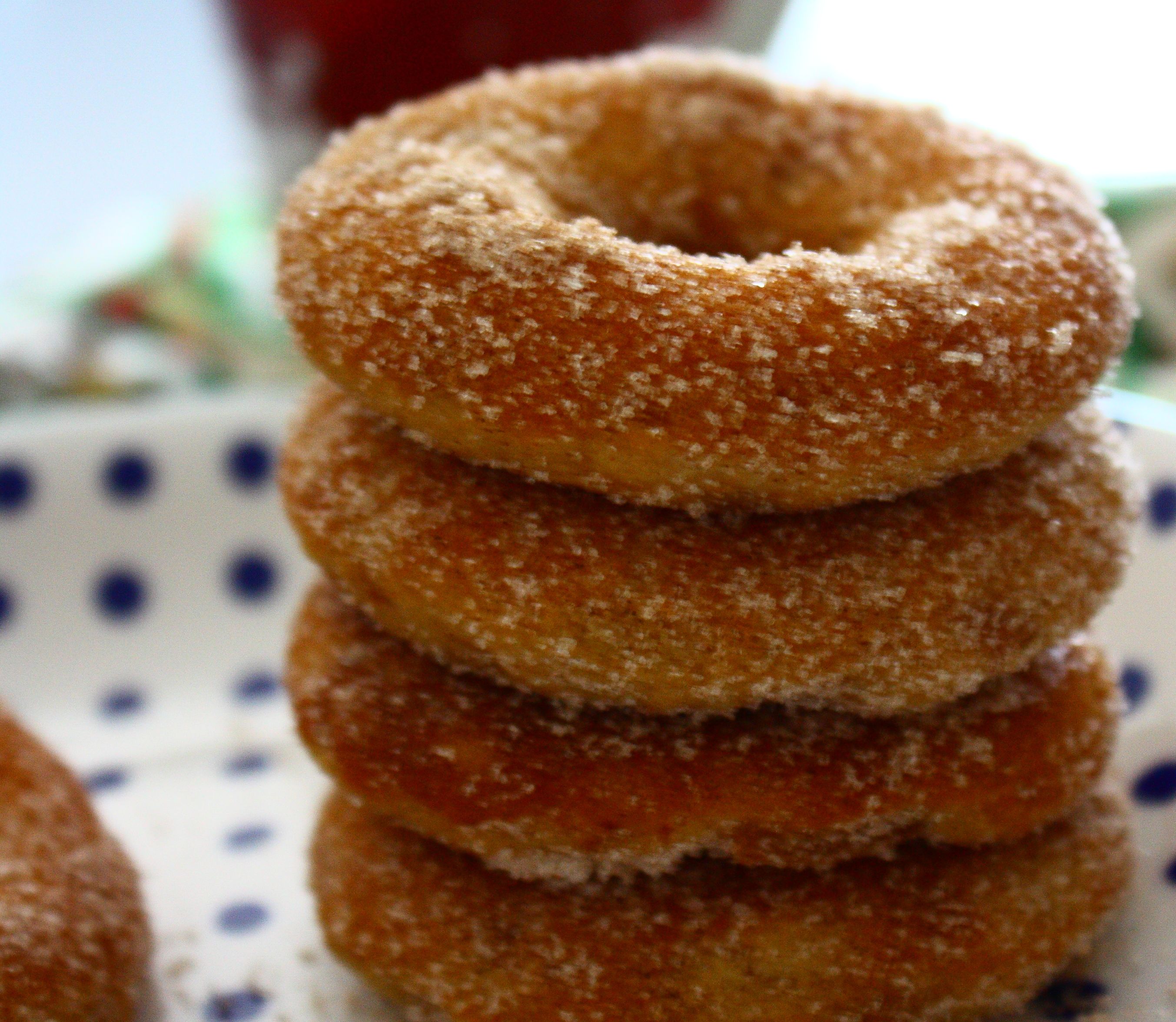 Apple and Cinnamon Baked Donuts | bunch