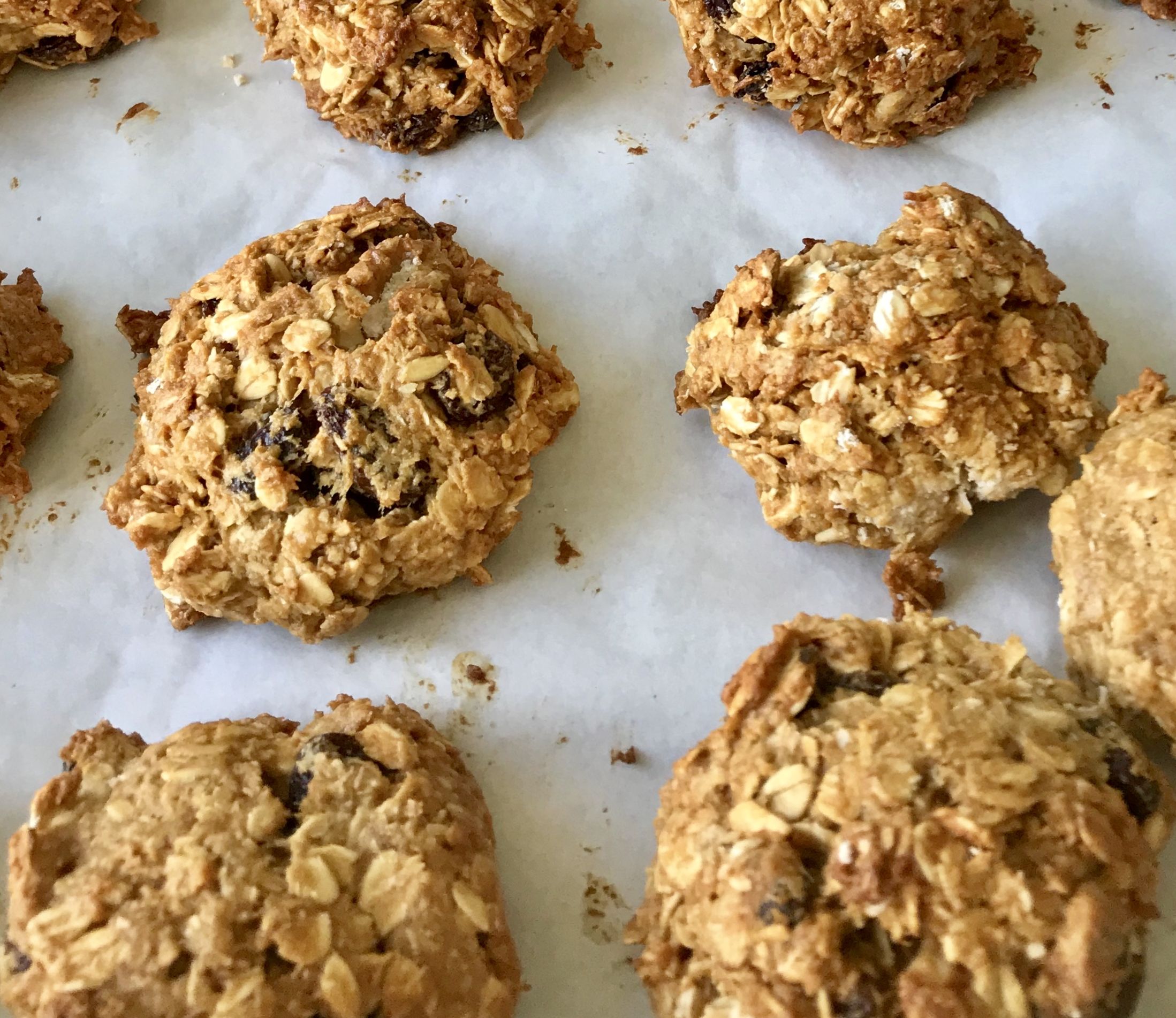 Apple, Sultana & Oat Biscuits | bunch