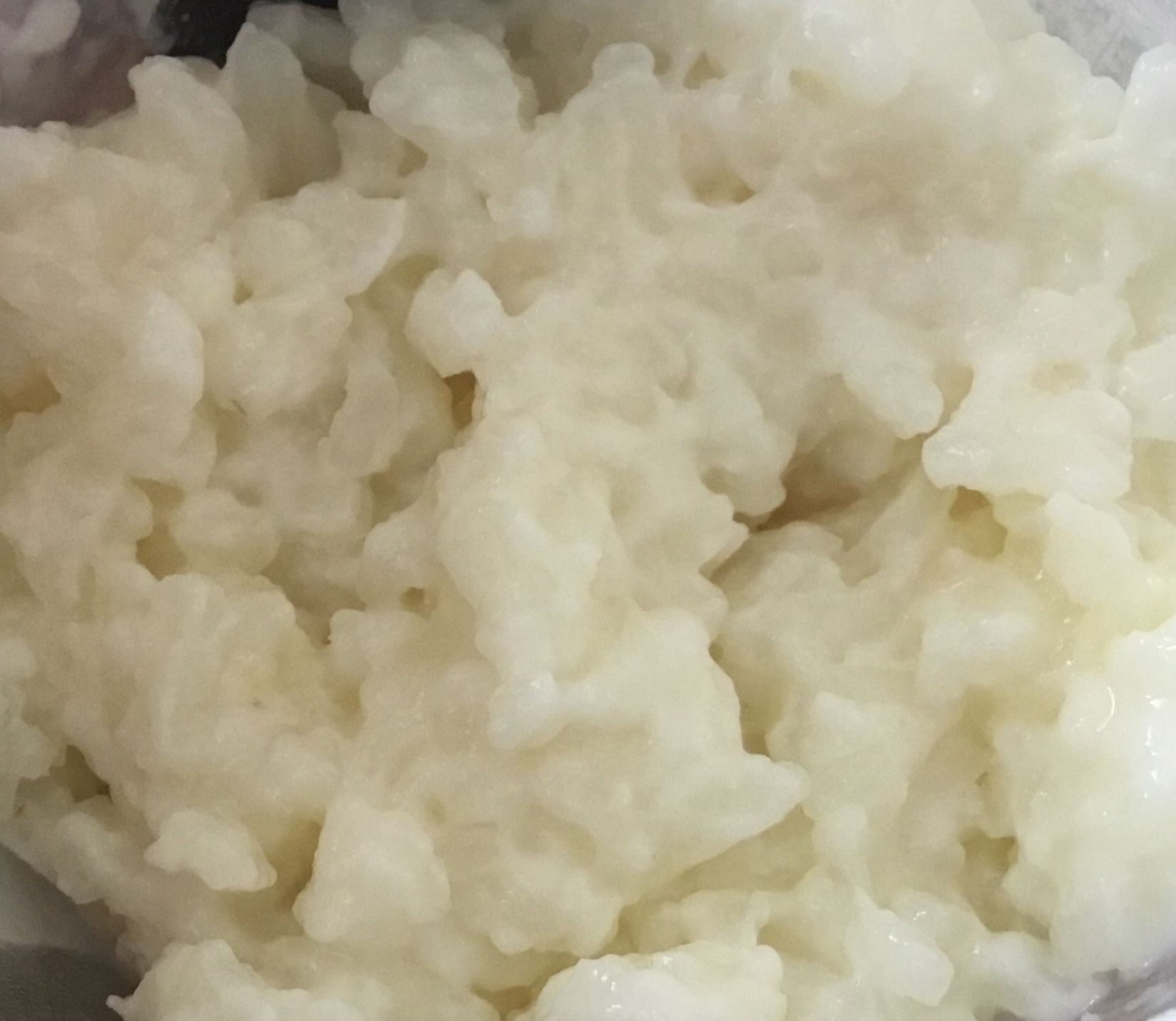 Creamed rice | bunch