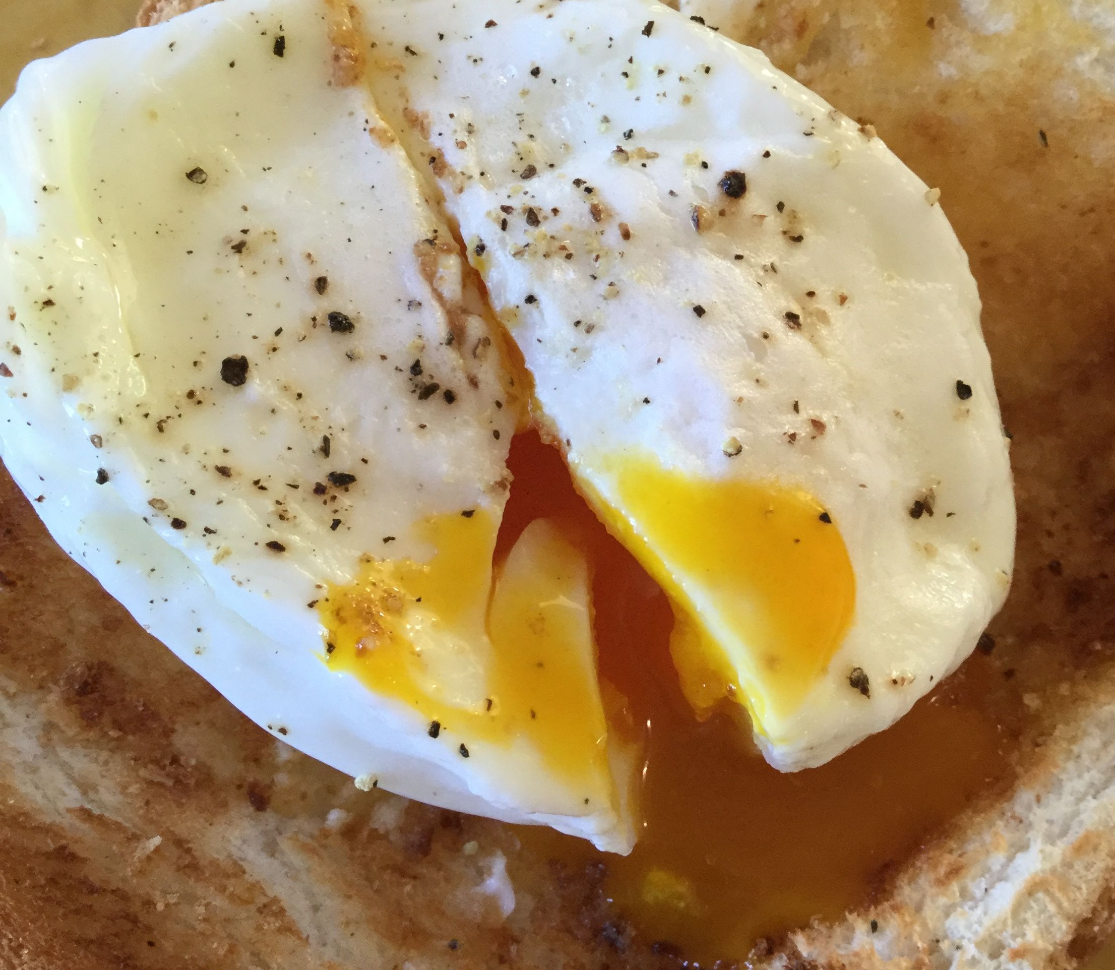 Poached Eggs | bunch