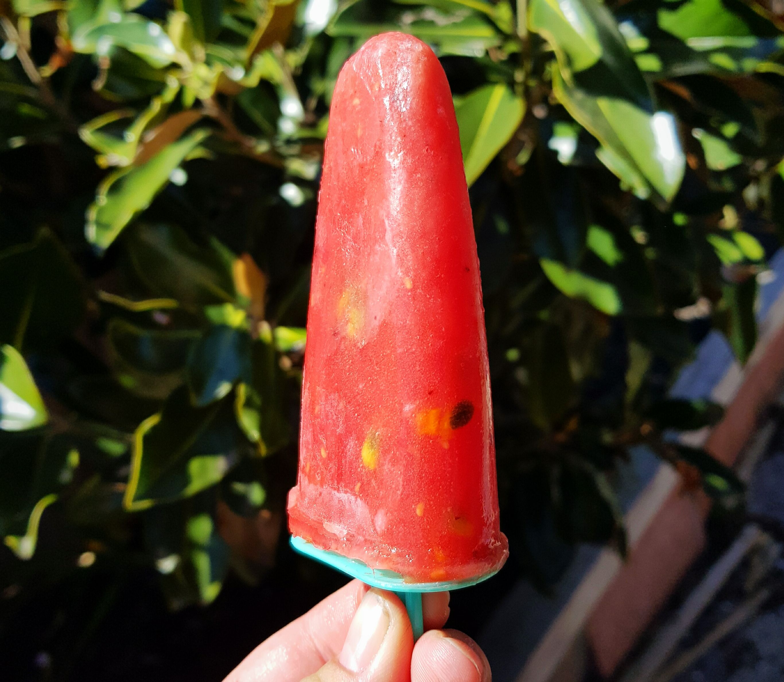My Sons Favourite Fruity Pops | bunch