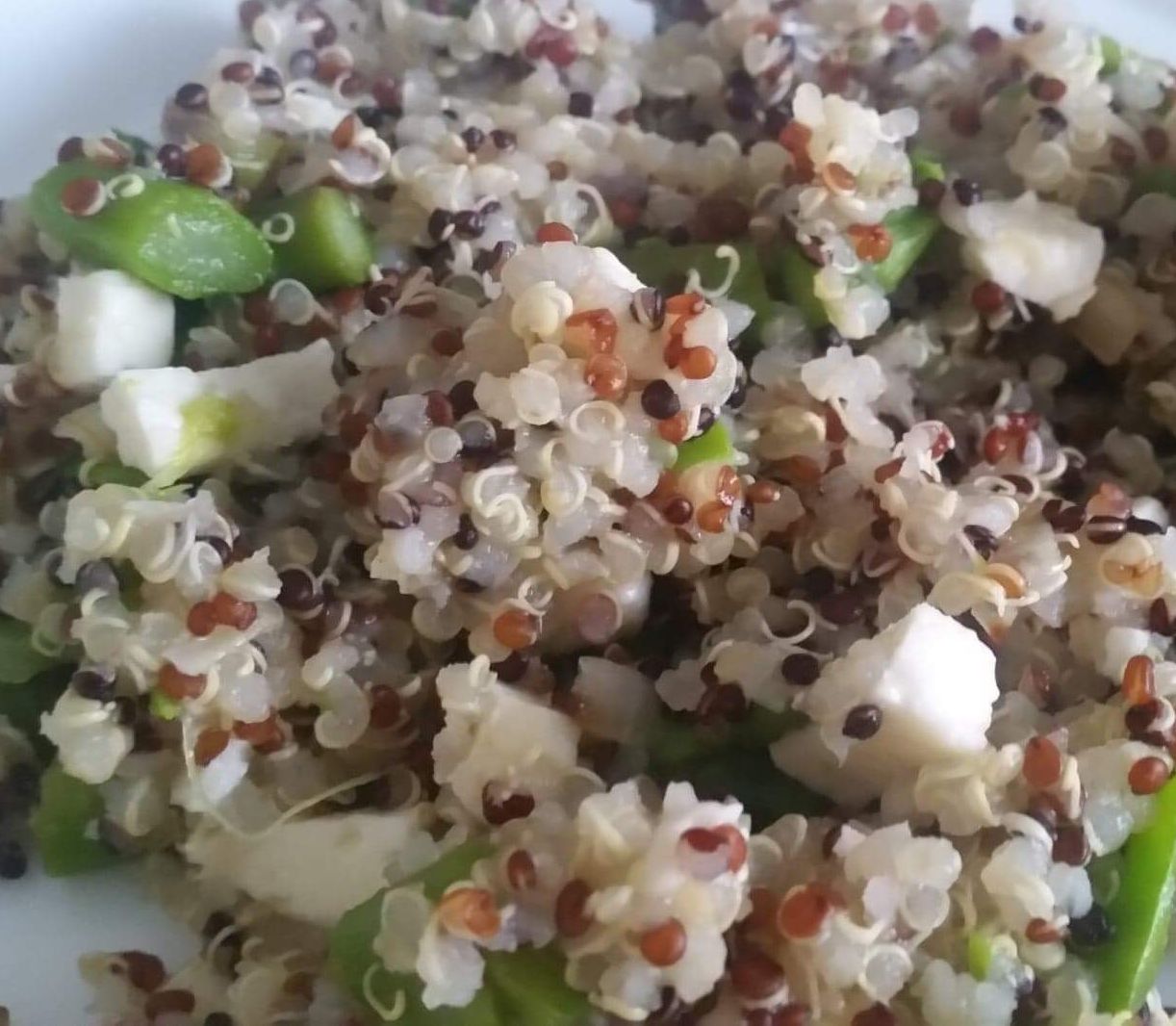 Quinoa Experiment That Worked! | bunch