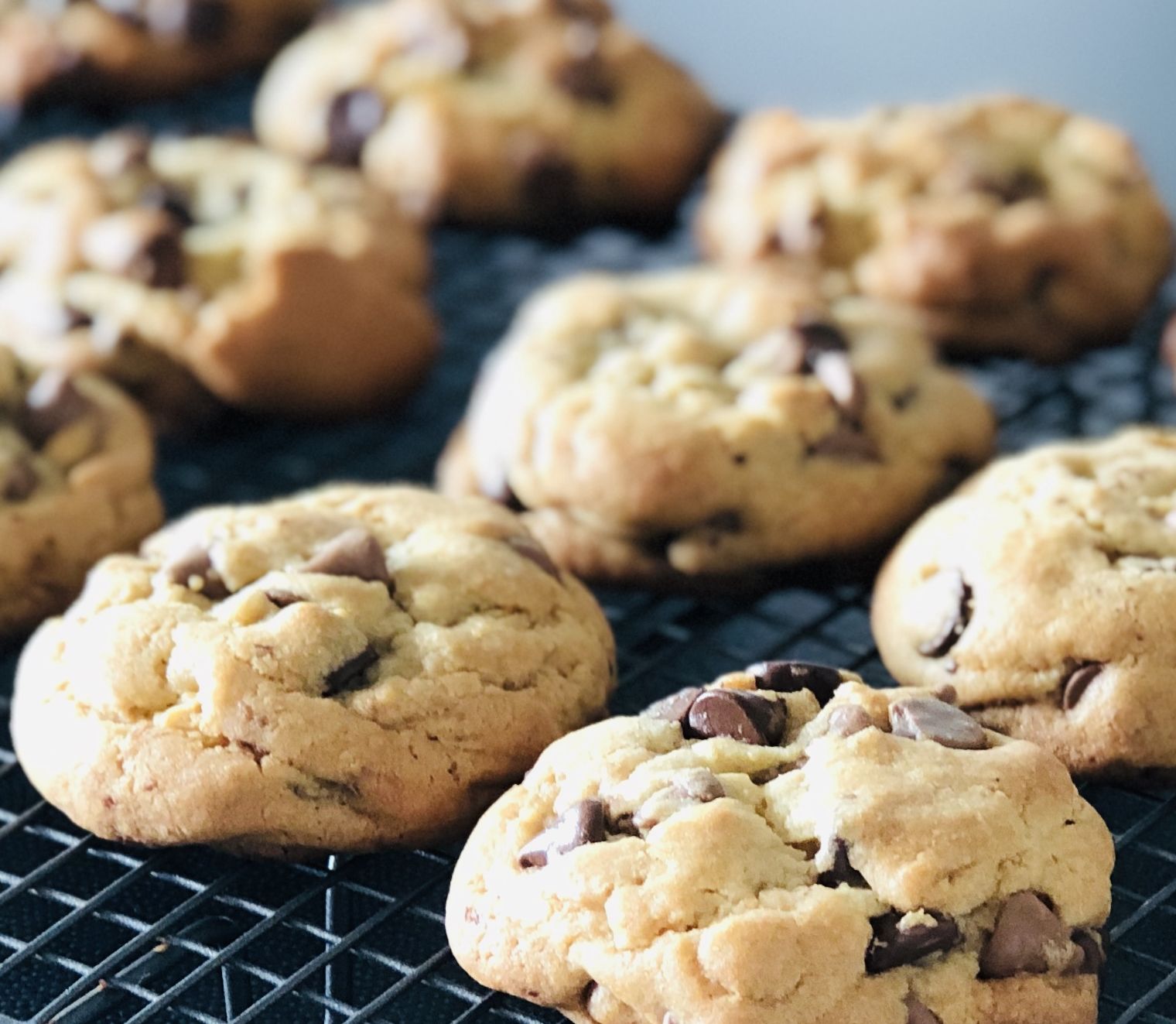 Double choc chip cookies | bunch