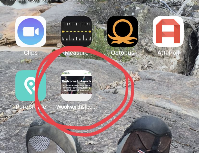 Making Bunch feel like an ‘app’ (for iPhone) | bunch