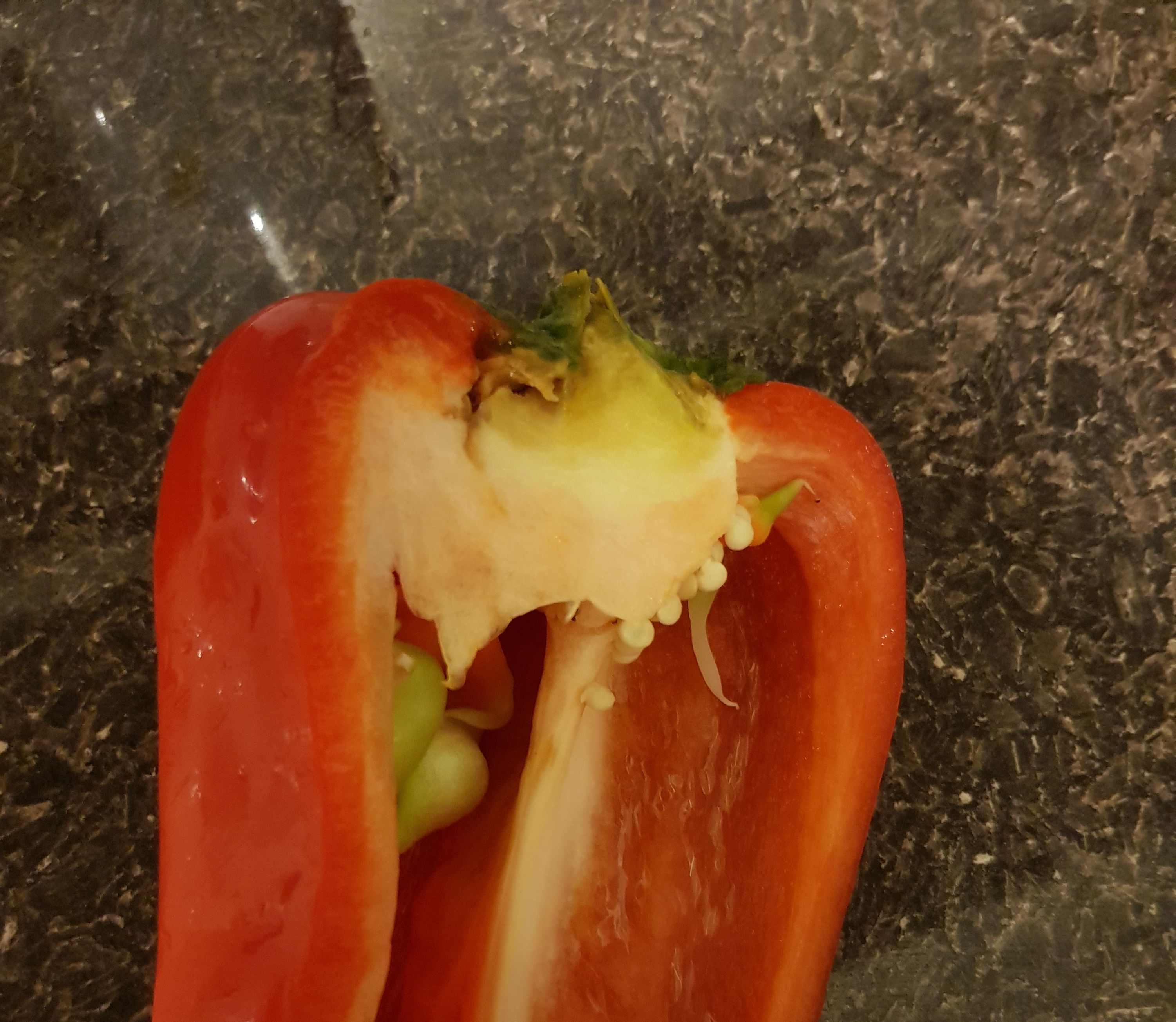 Capsicum Crush | bunch