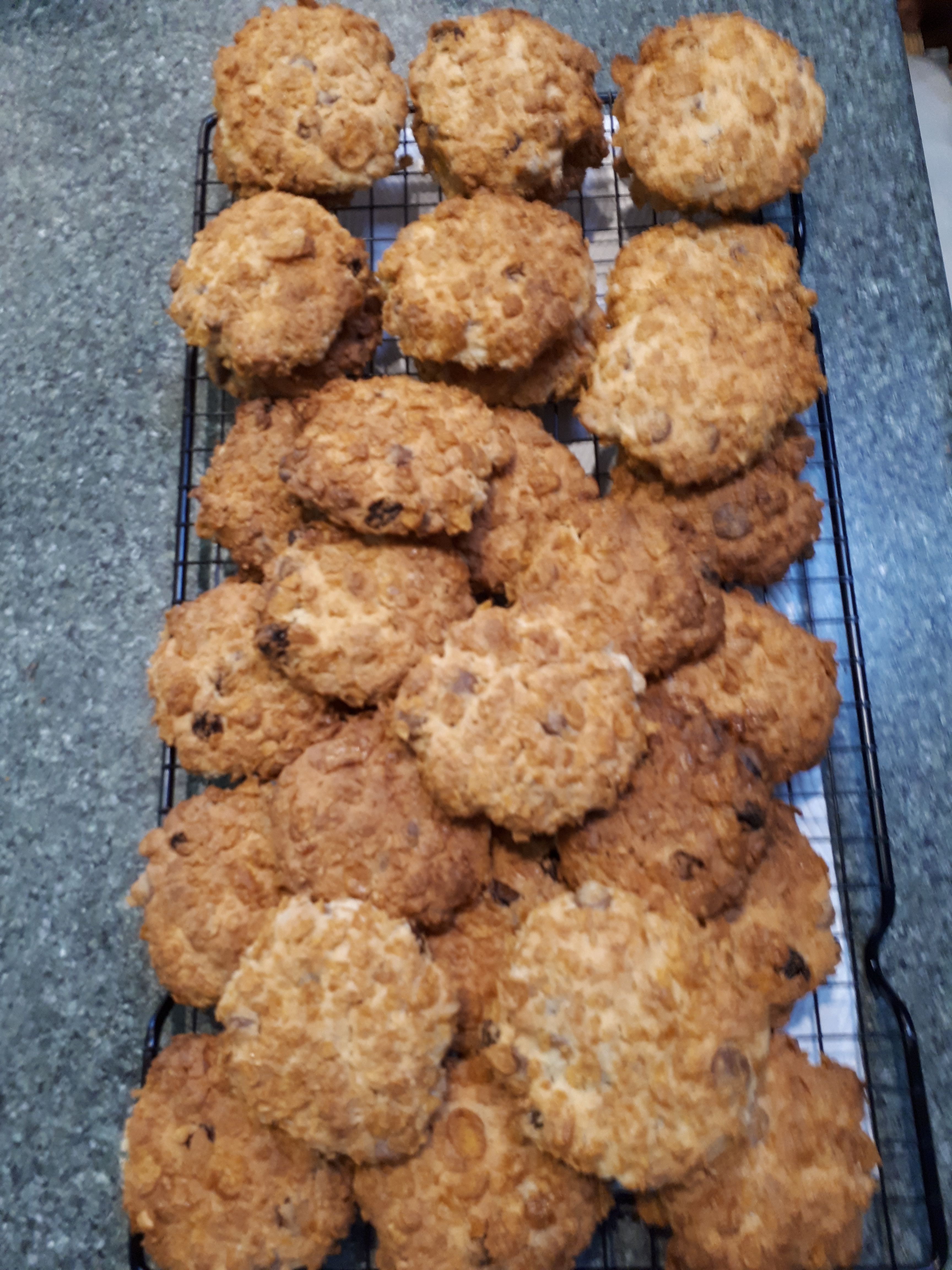 BEST CHOC BIT COOKIES | bunch