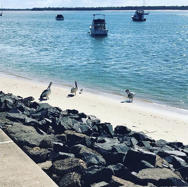 Why I have less so I can have more. | bunch