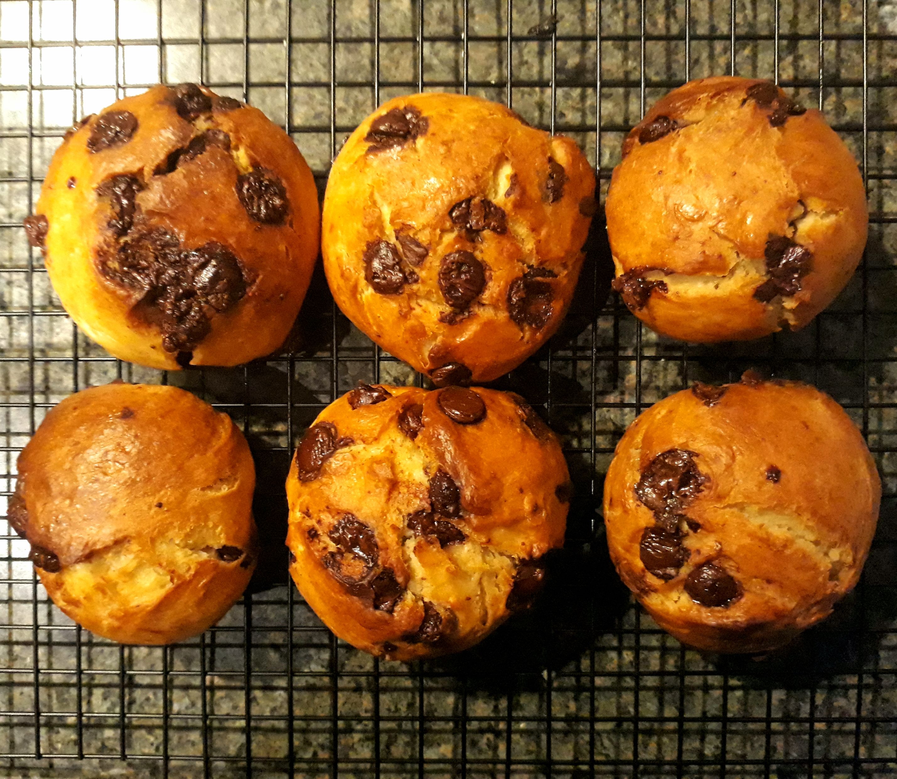 Chocolate Chip Brioche Style Buns | bunch