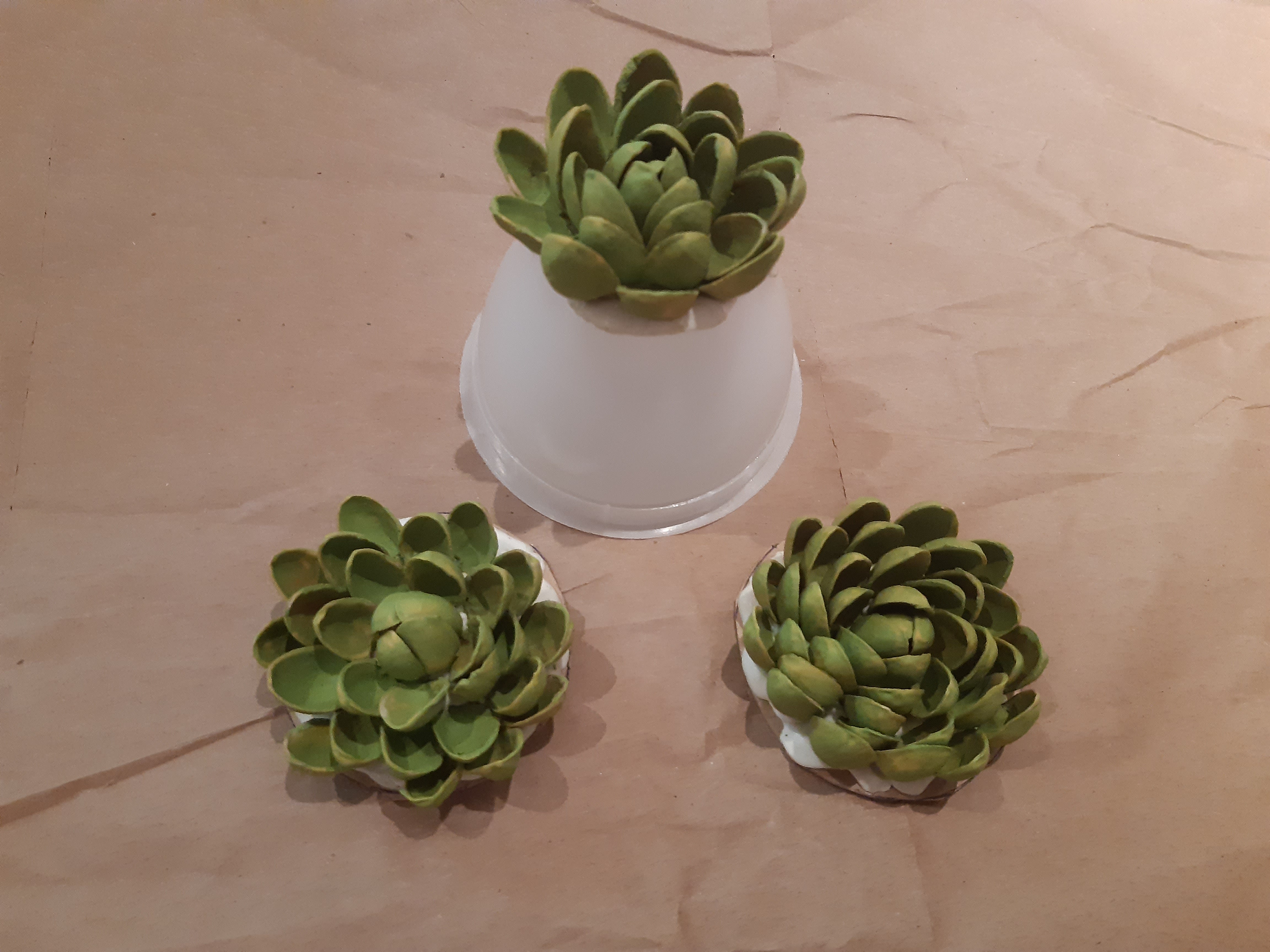 What you can do with Pistachio Shells | bunch