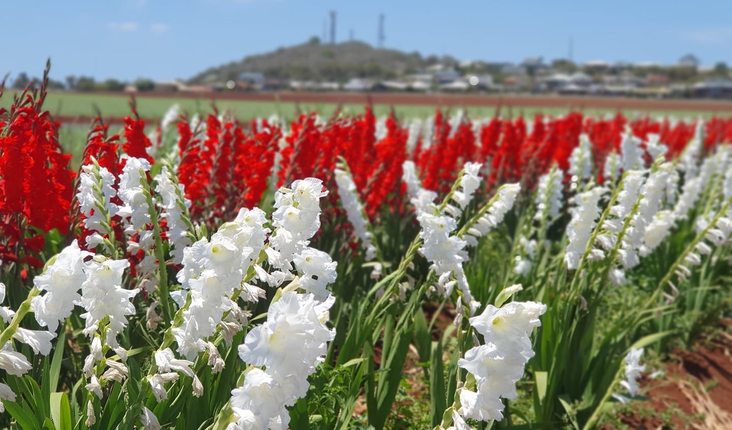 How do we be HAPPY? | bunch