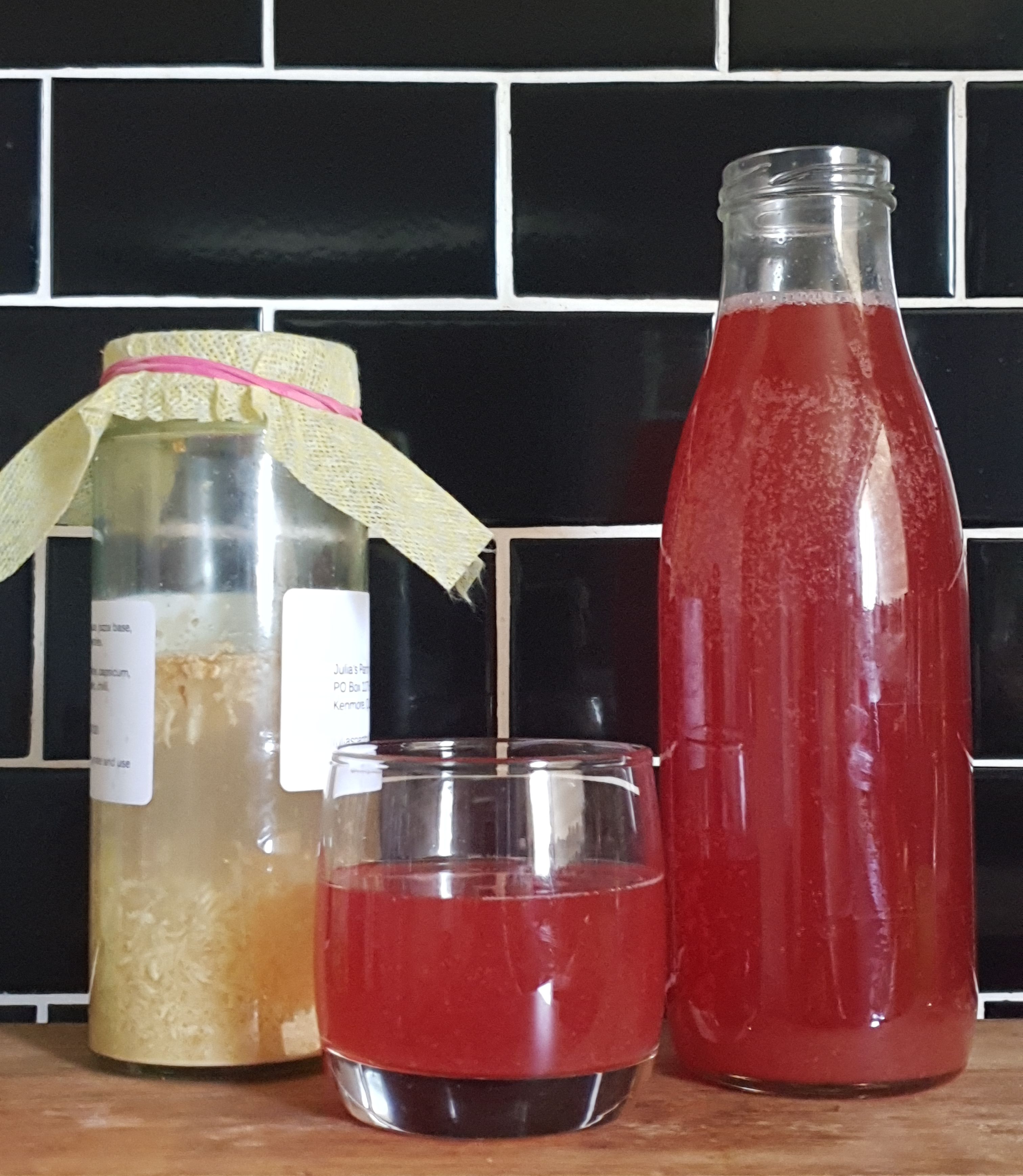 Strawberry Ginger Bug Drink | bunch