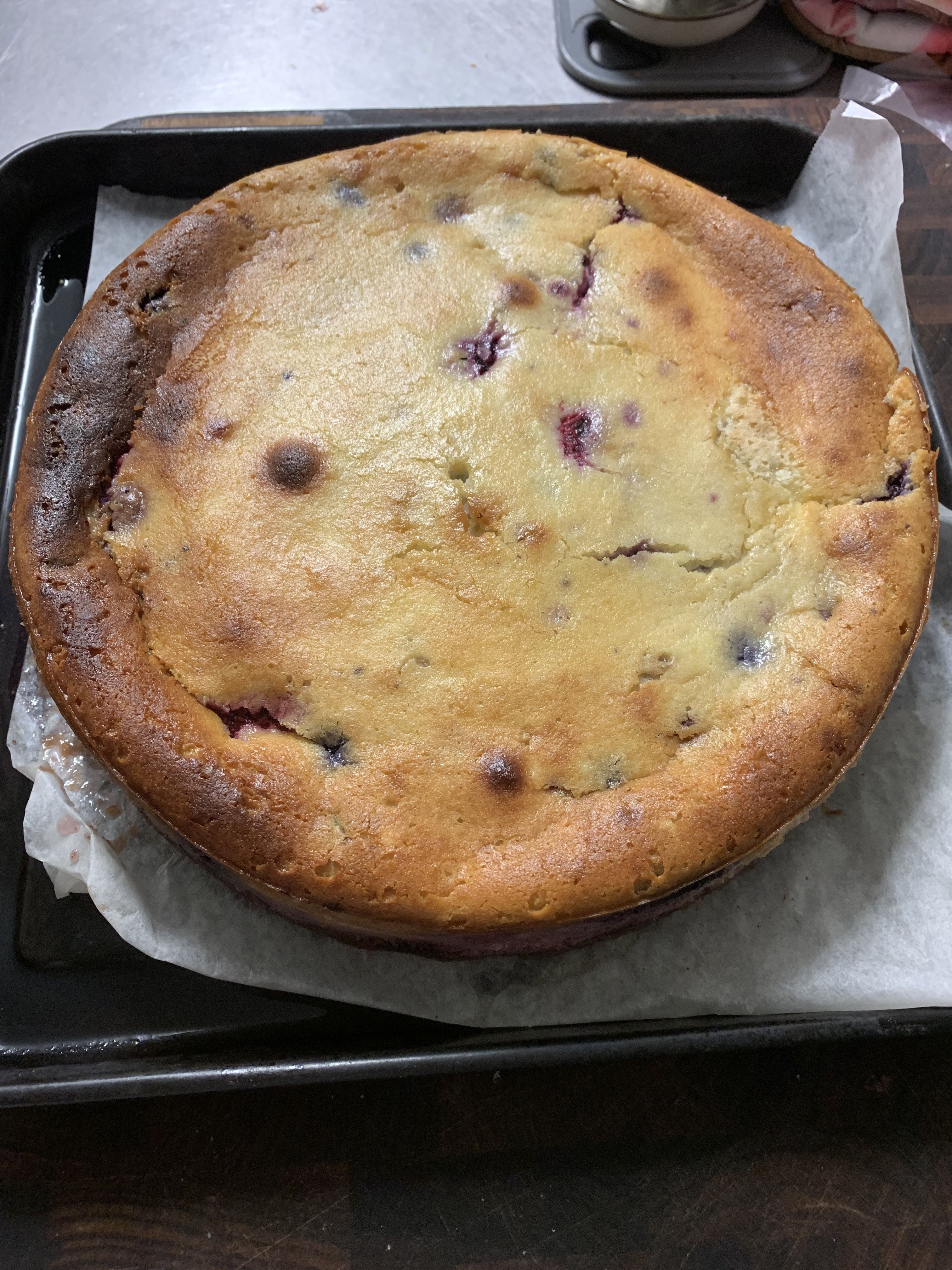Baked Ricotta &Brandied Apricot Cheesecake | bunch