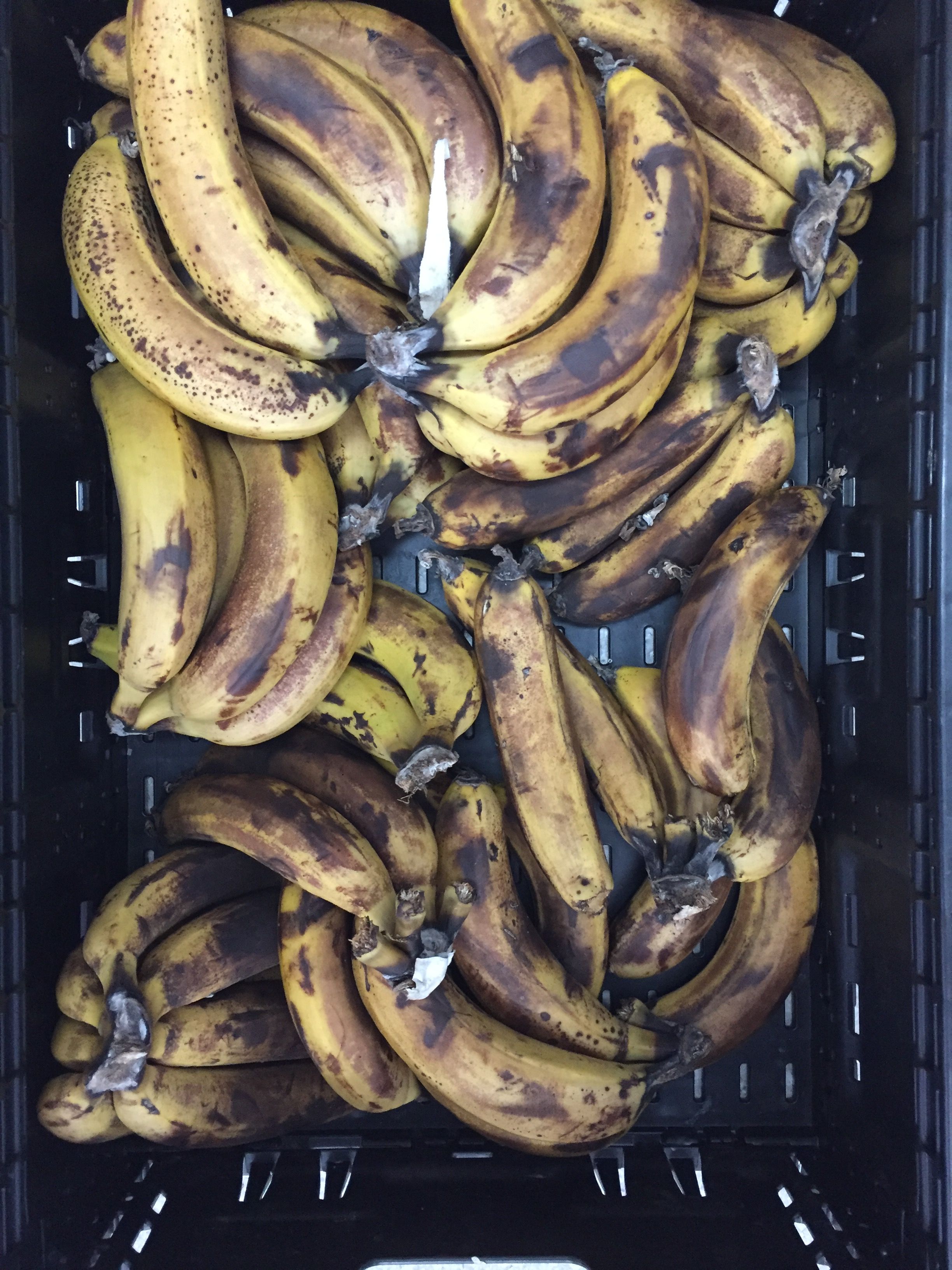 What is a food bank? | bunch