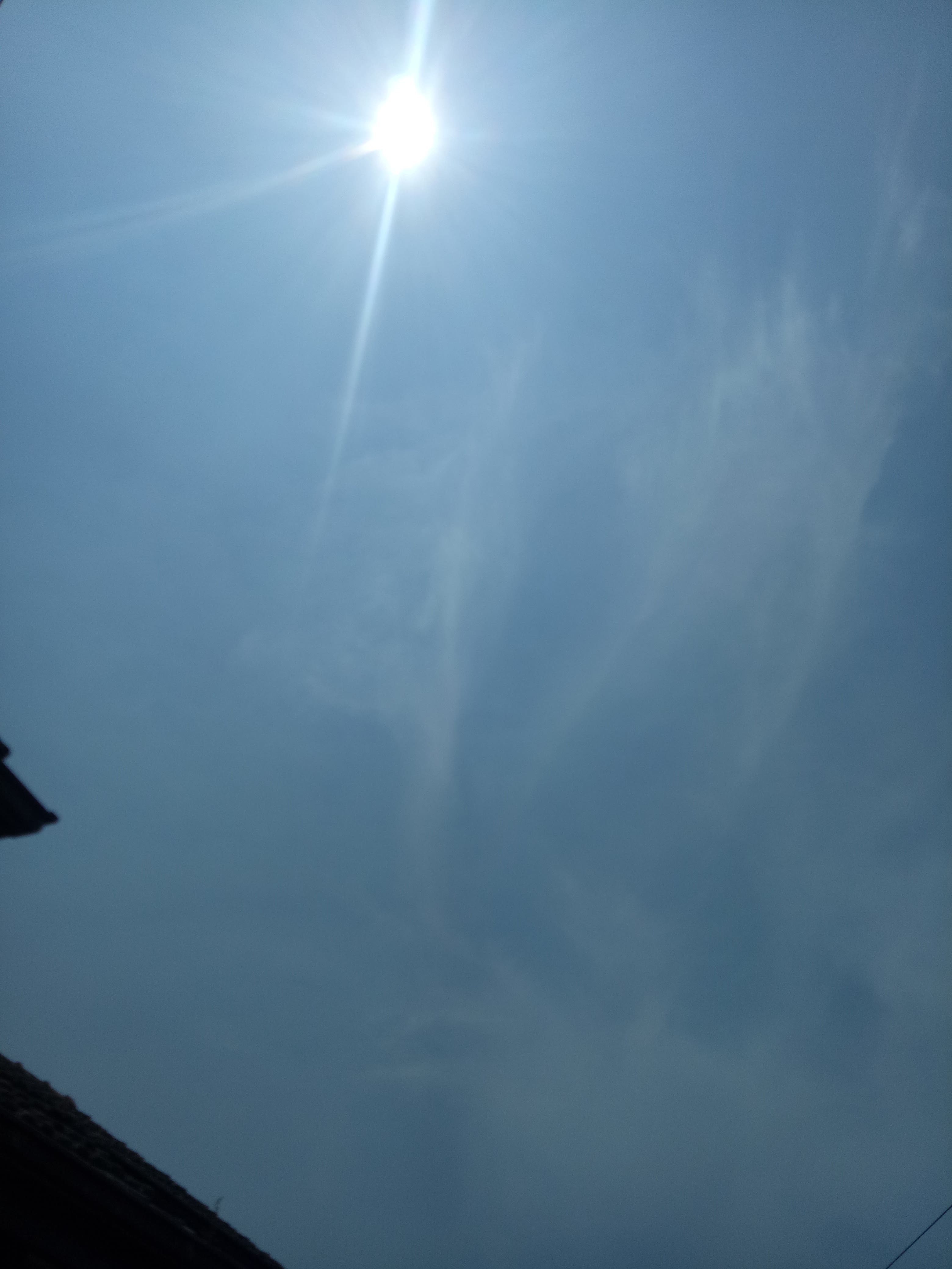 Keeping cool in the hot weather | bunch