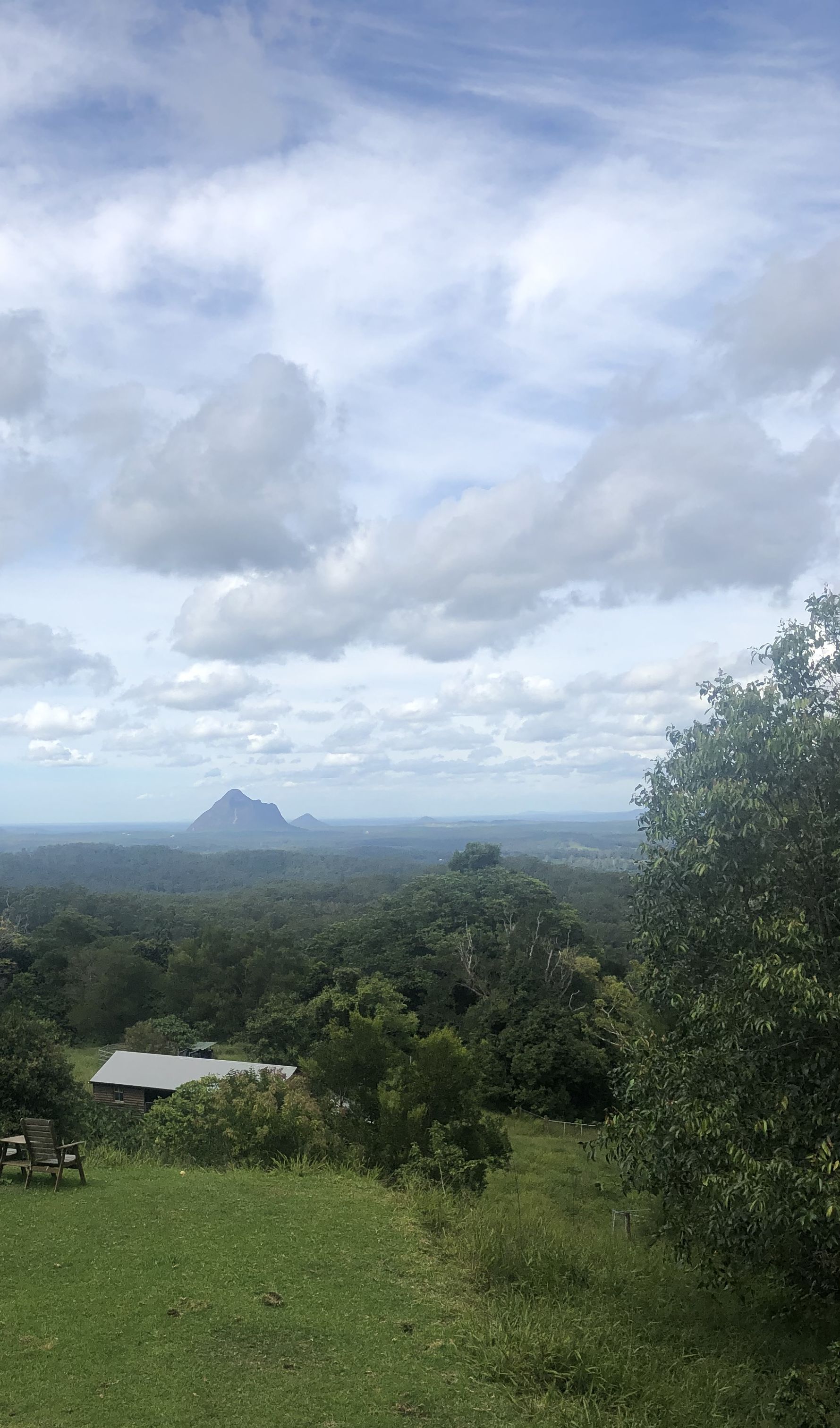Maleny Heaven | bunch