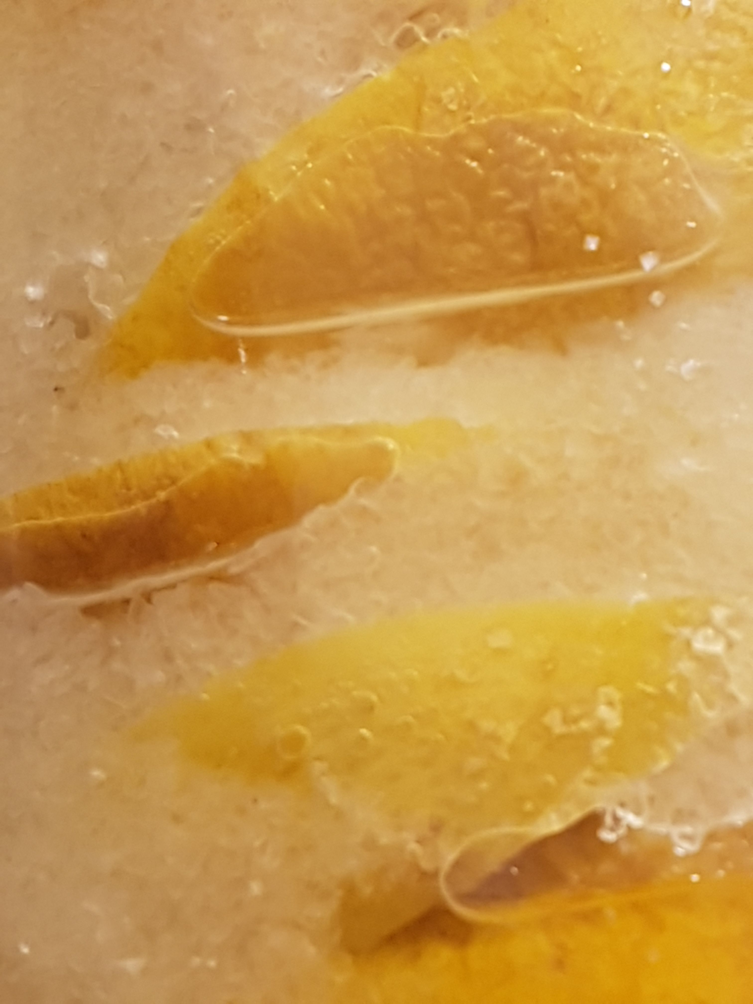 Preserved lemon | bunch