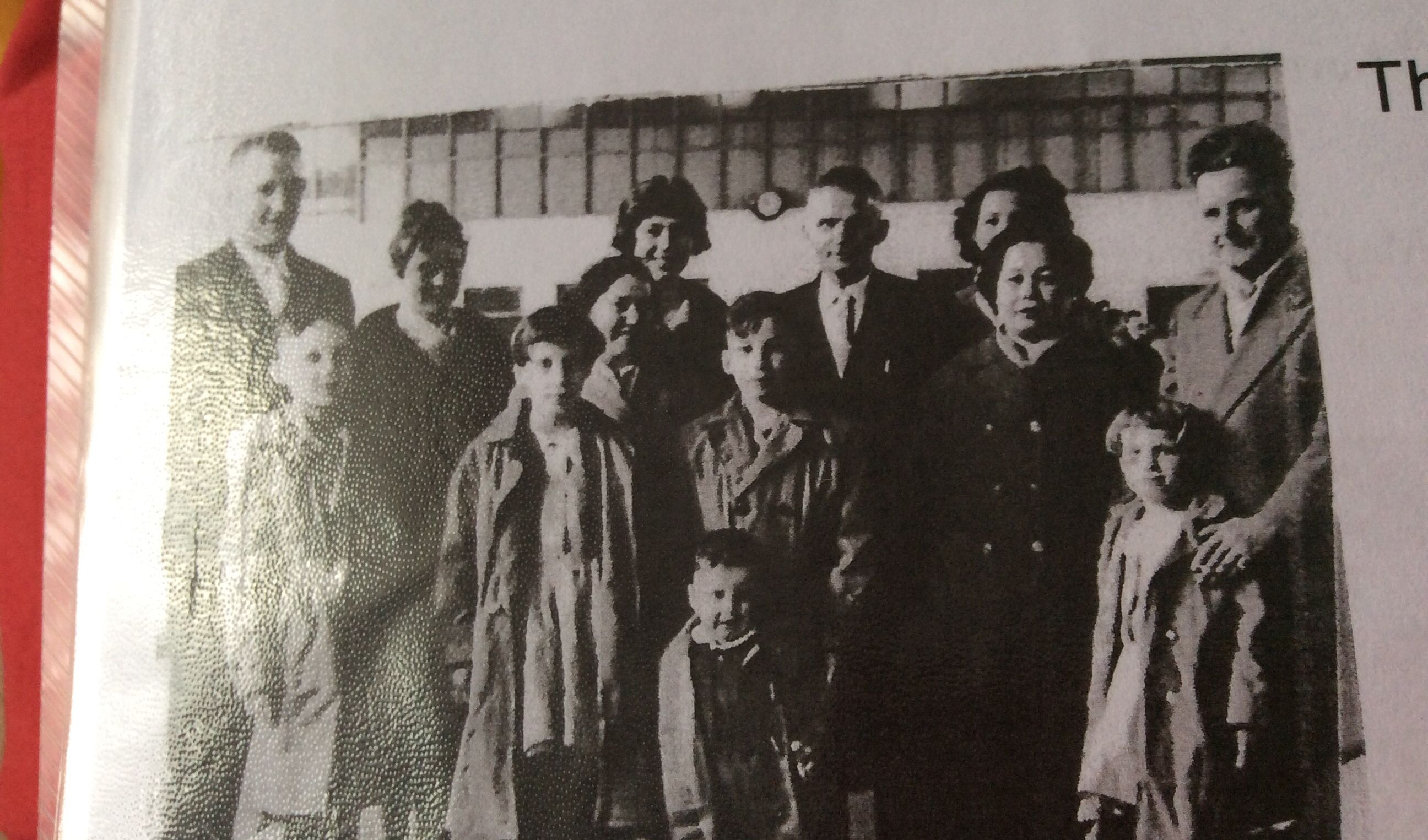 Welcome to Australia | bunch