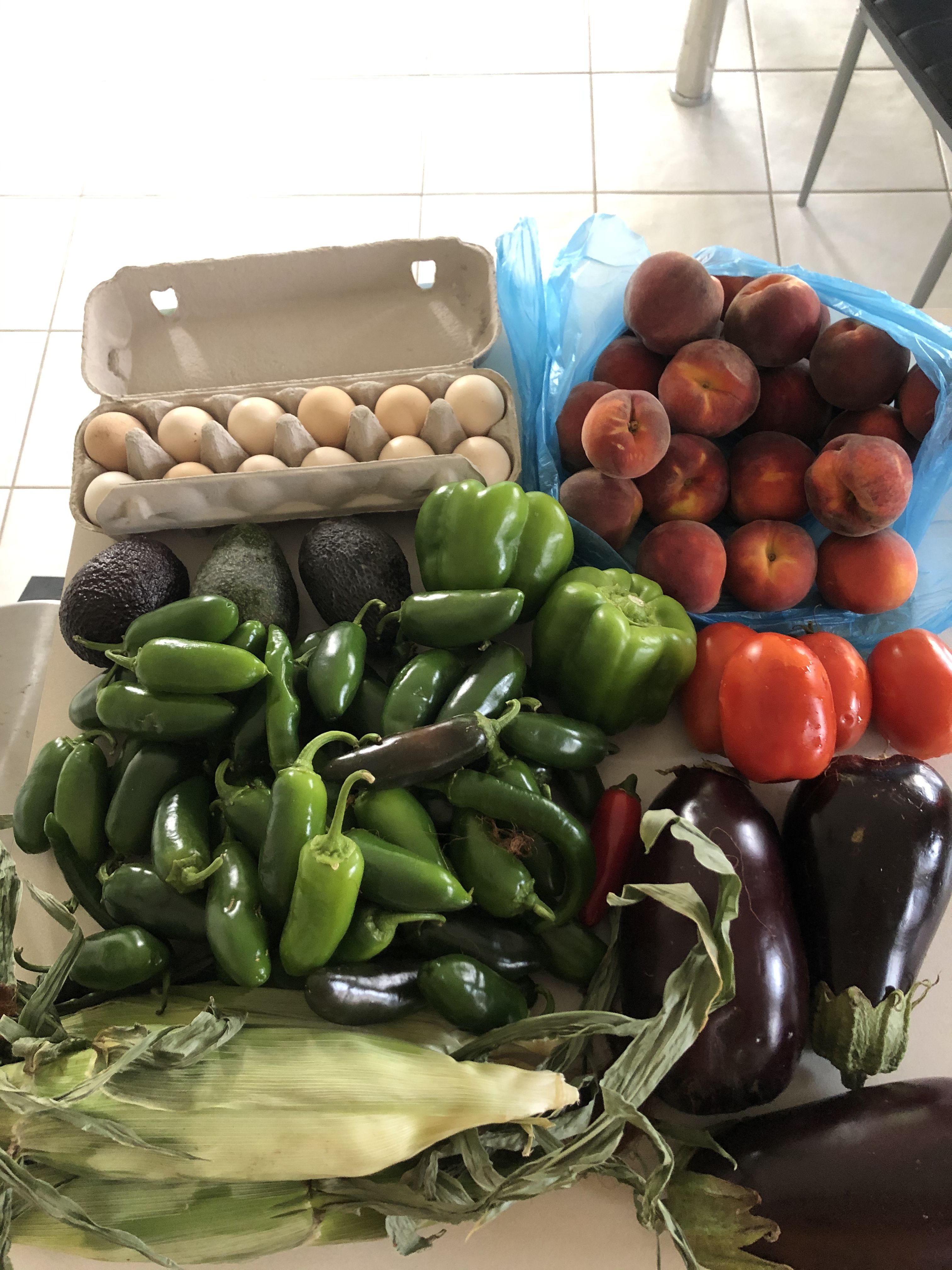 Home grown veggie haul | bunch