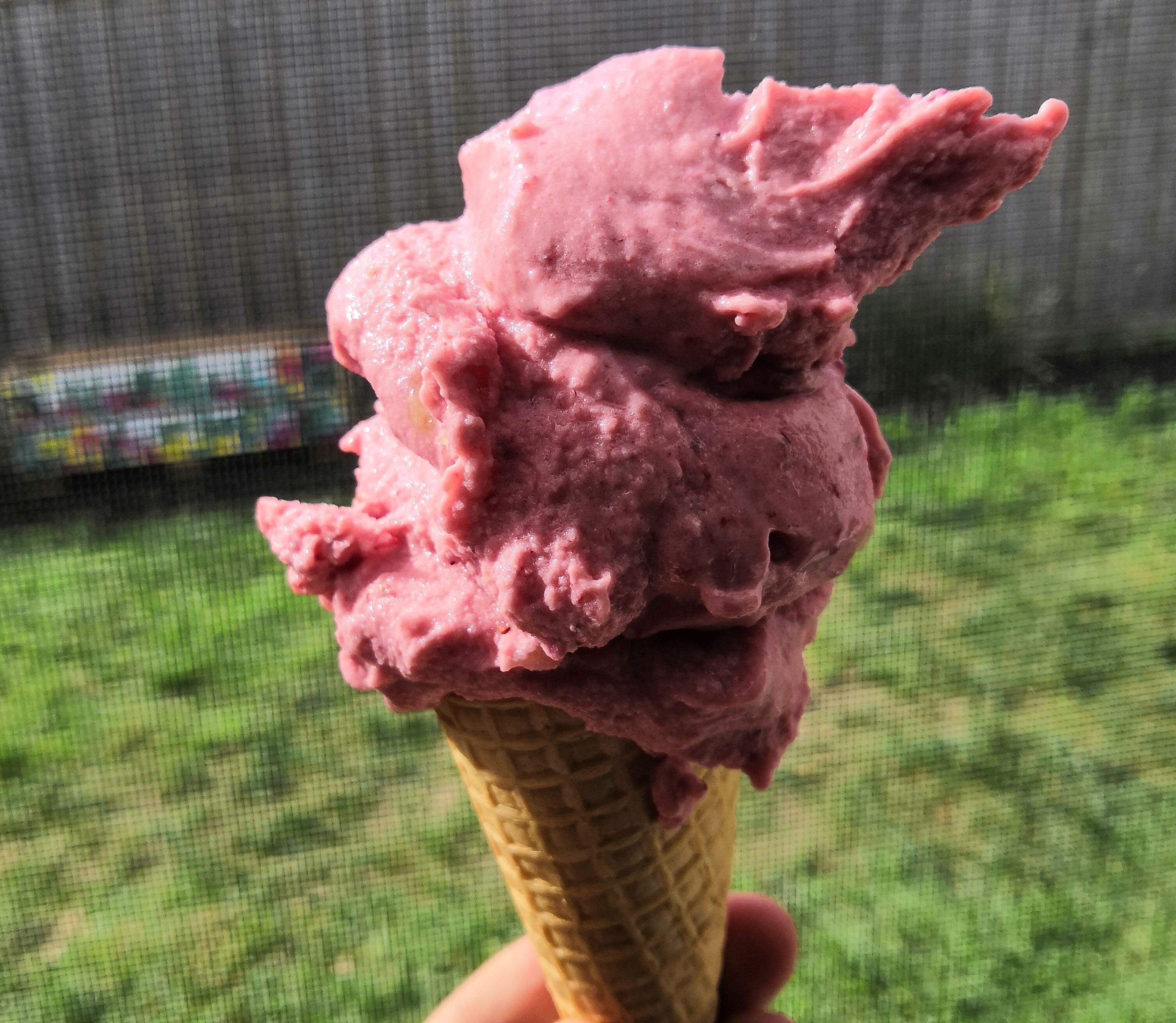 Strawberry Nice-cream | bunch