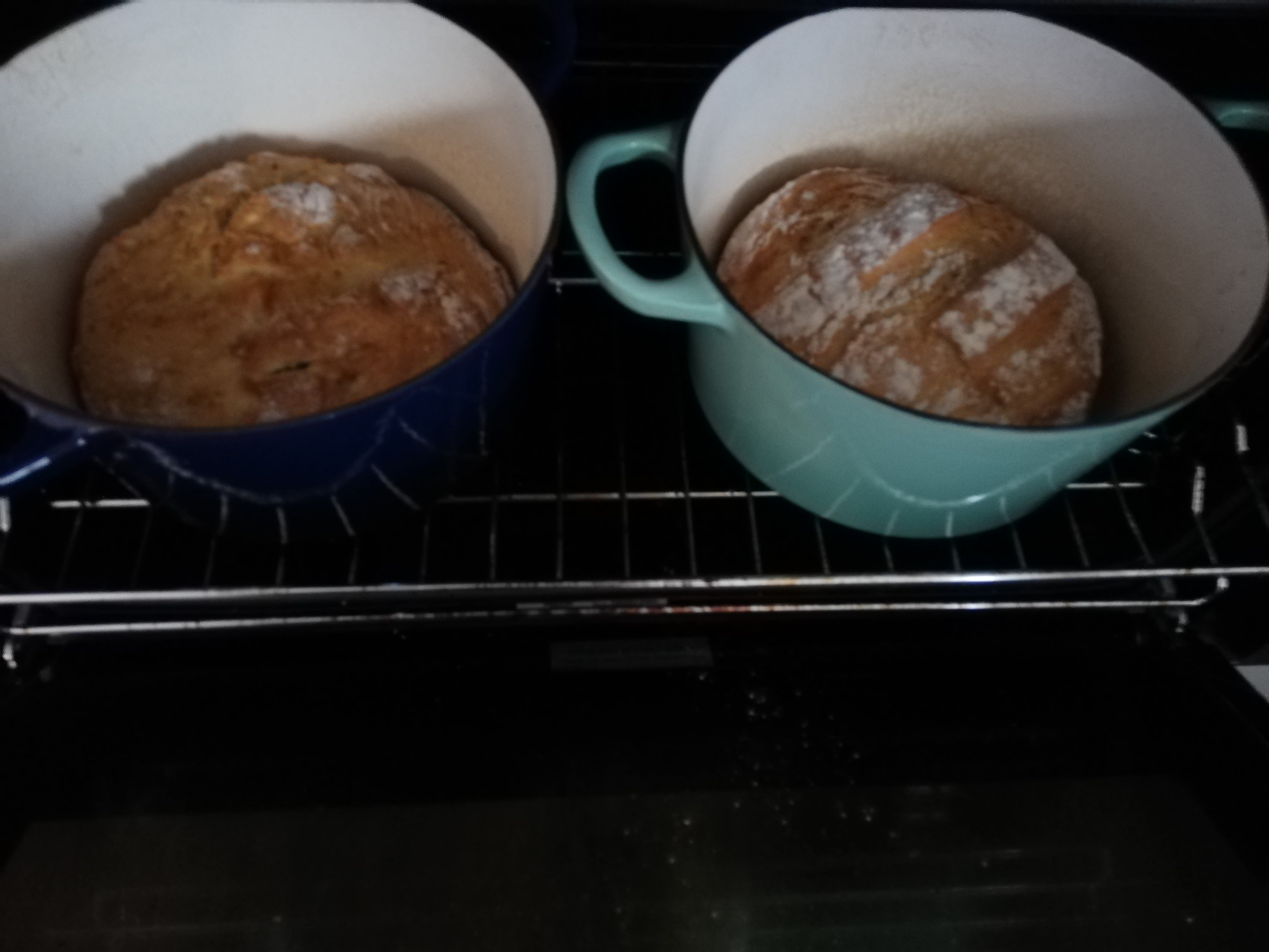 Crusty bread | bunch