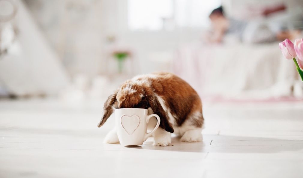 Best of the bunch: April | bunch