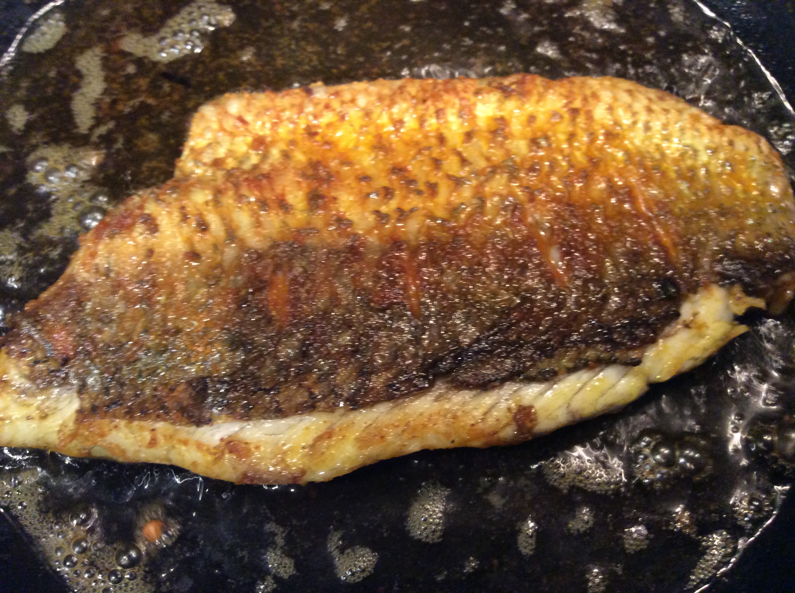 Indian style fried Barramundi | bunch