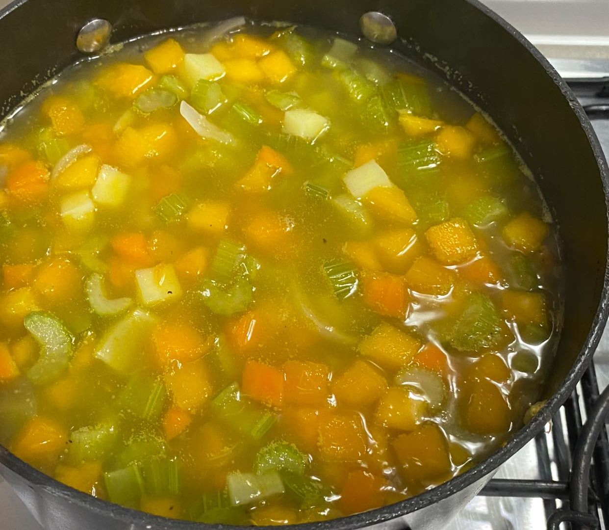 VEGETABLE SOUP | bunch