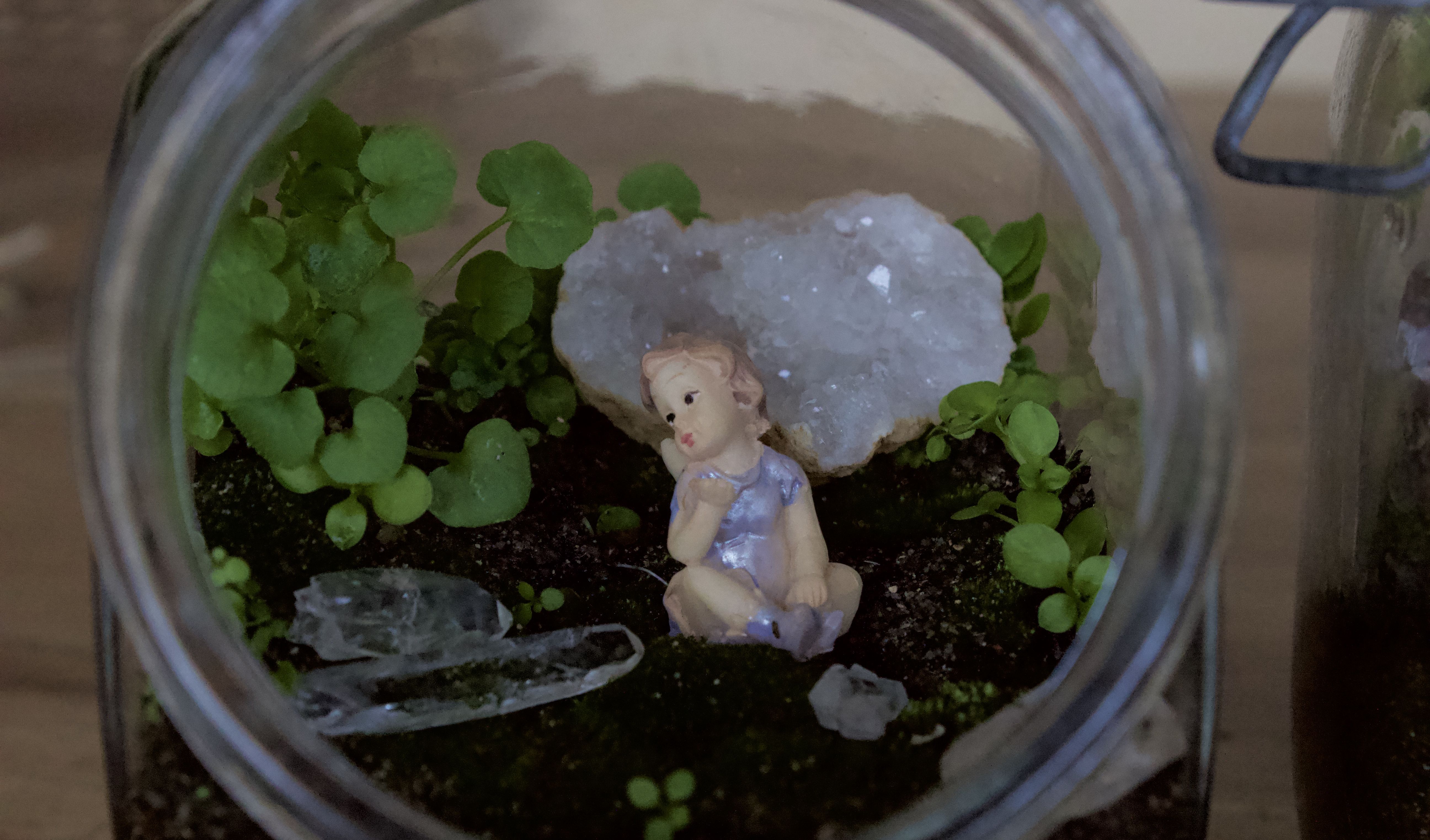 Fairy Garden Jars | bunch