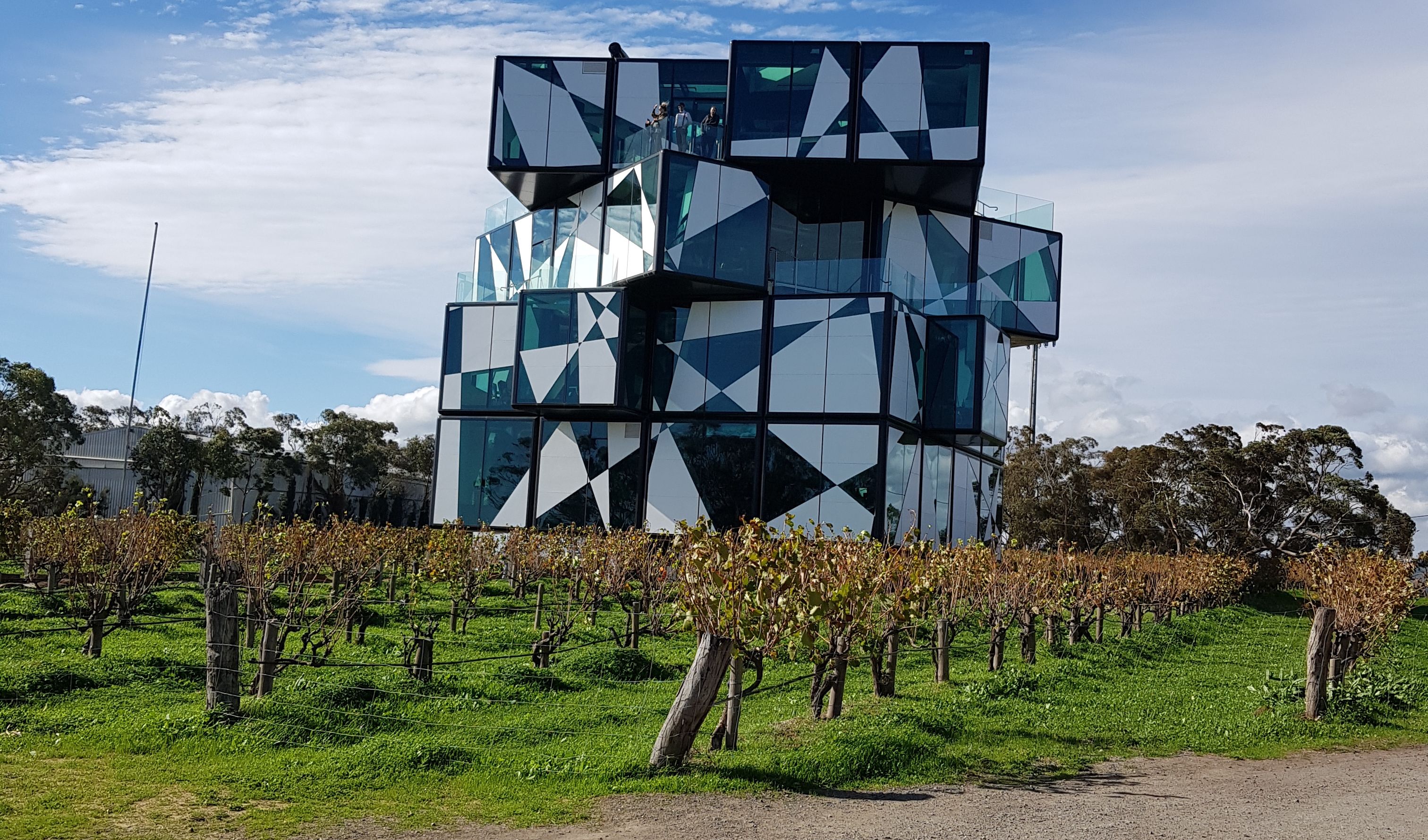 The Willy Wonka World of Wine | bunch