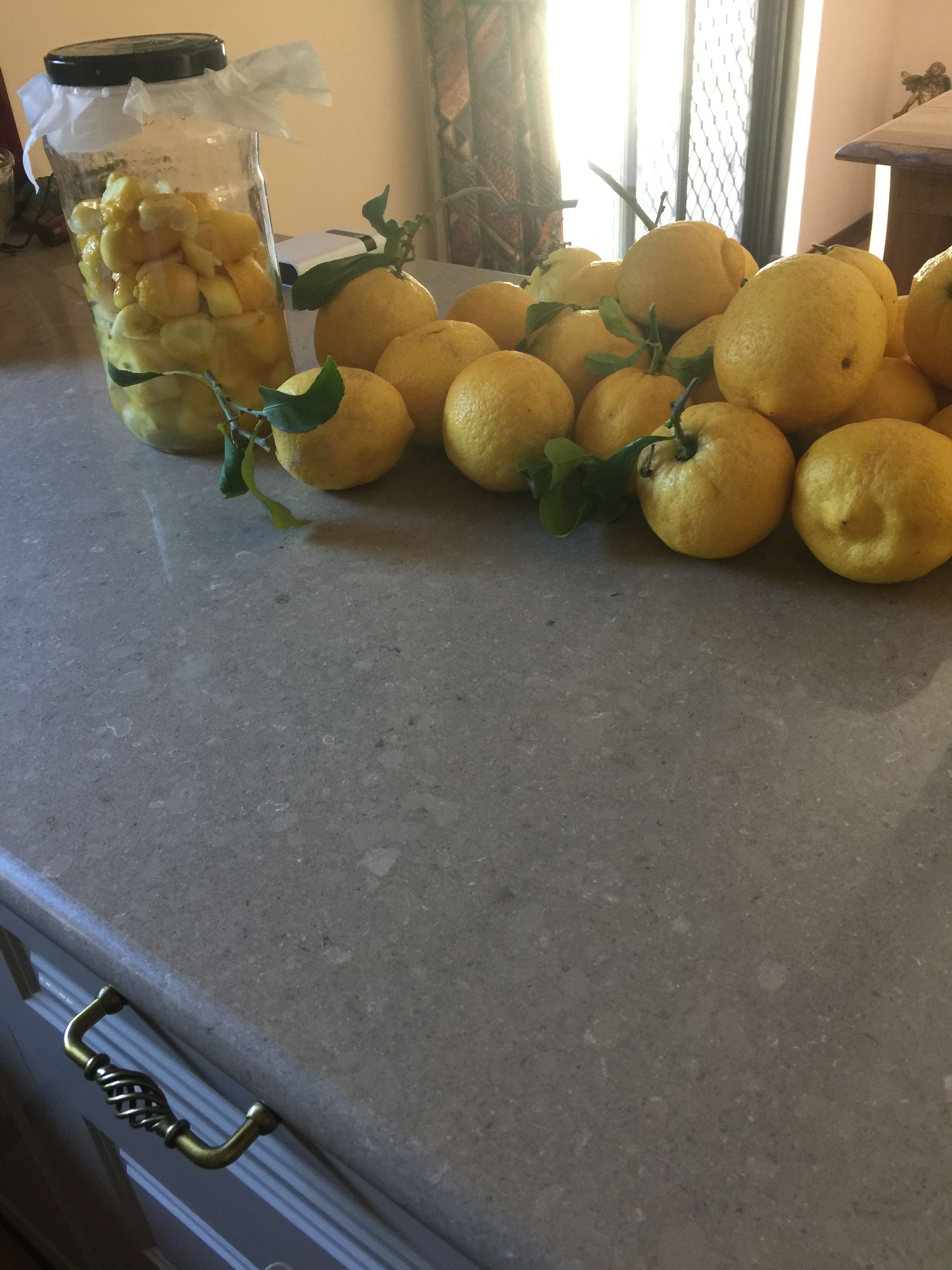 What to do with lots of lemons | bunch