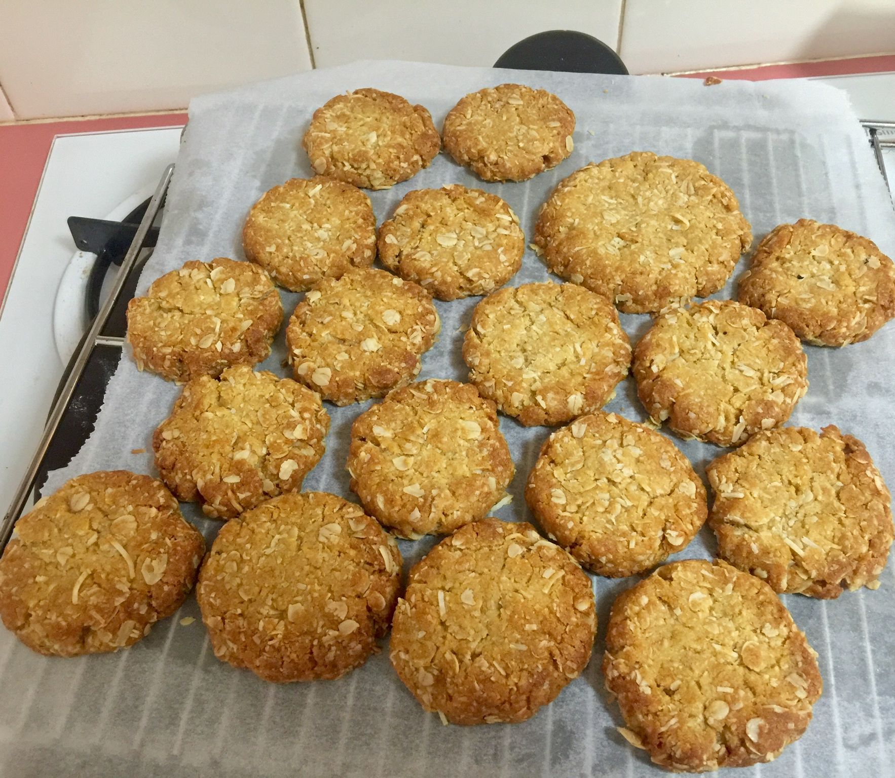 All year Golden Oat biscuits | bunch