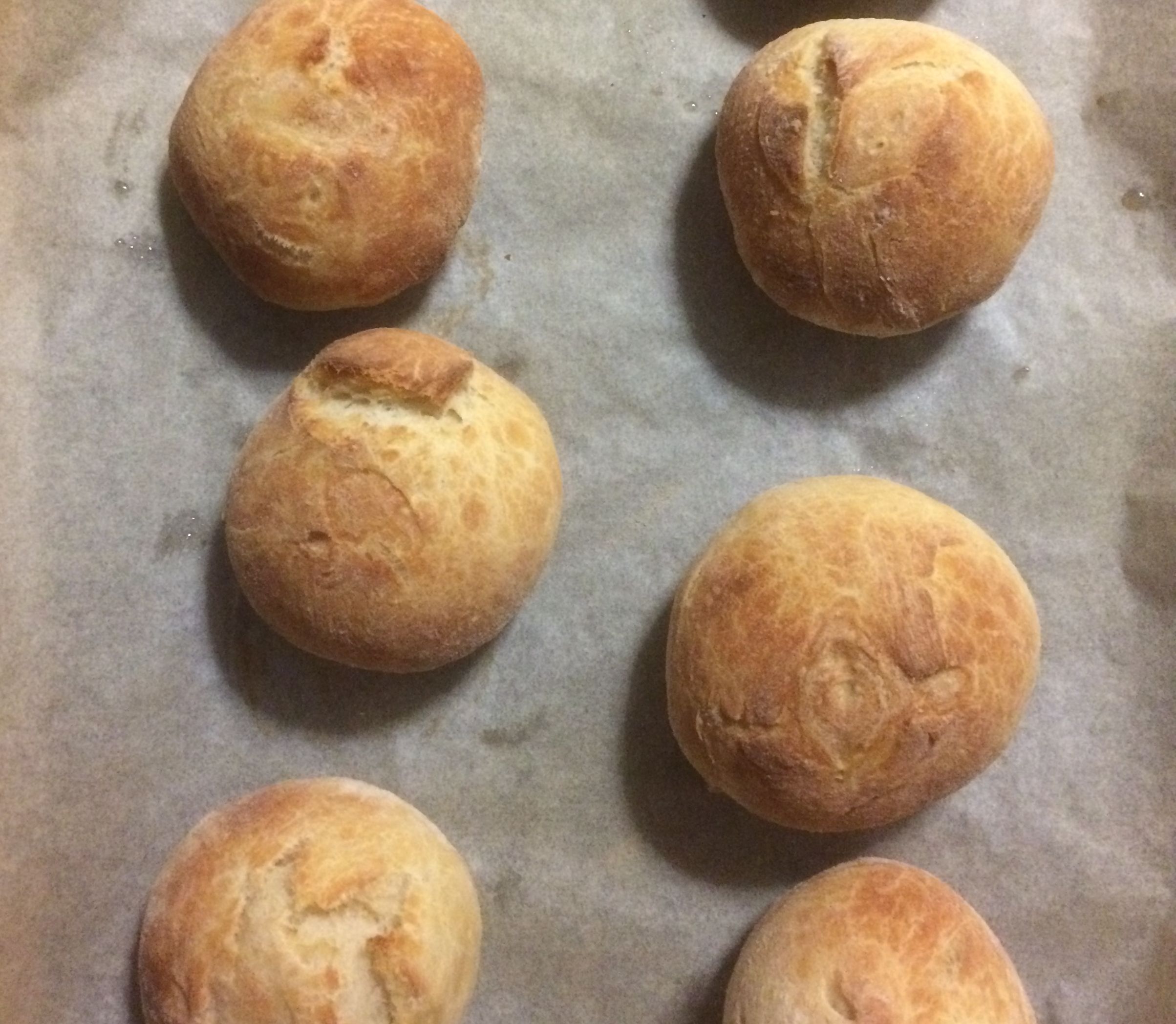 No Knead Crusty Bread Rolls | bunch