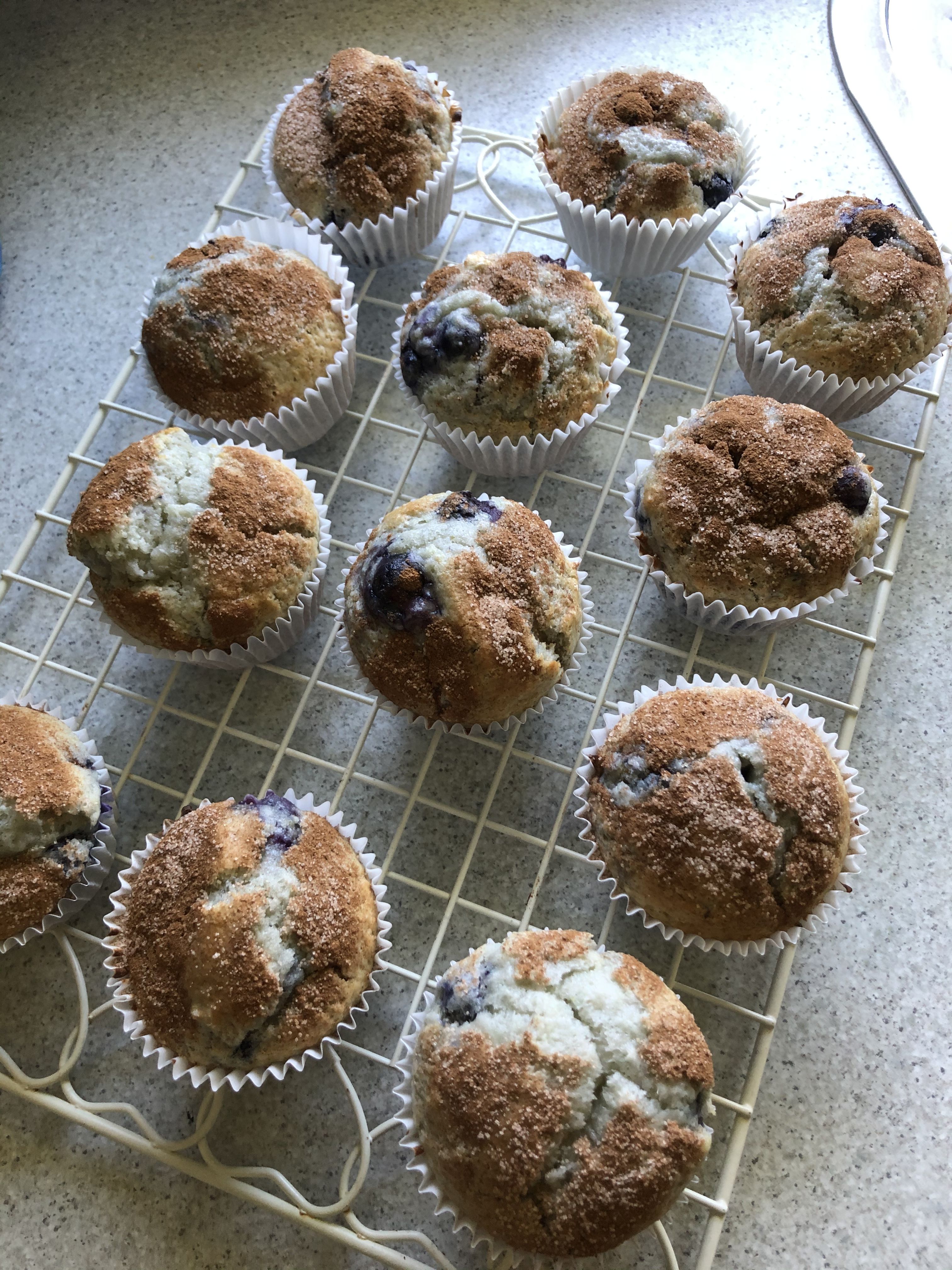 Blueberry muffins | bunch
