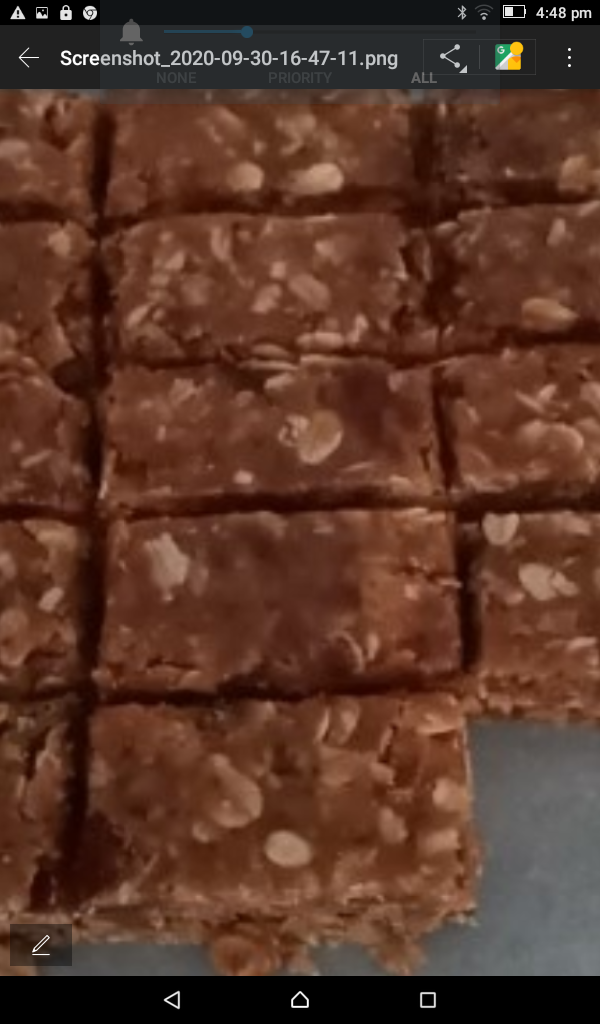 Date Oat Slice | bunch