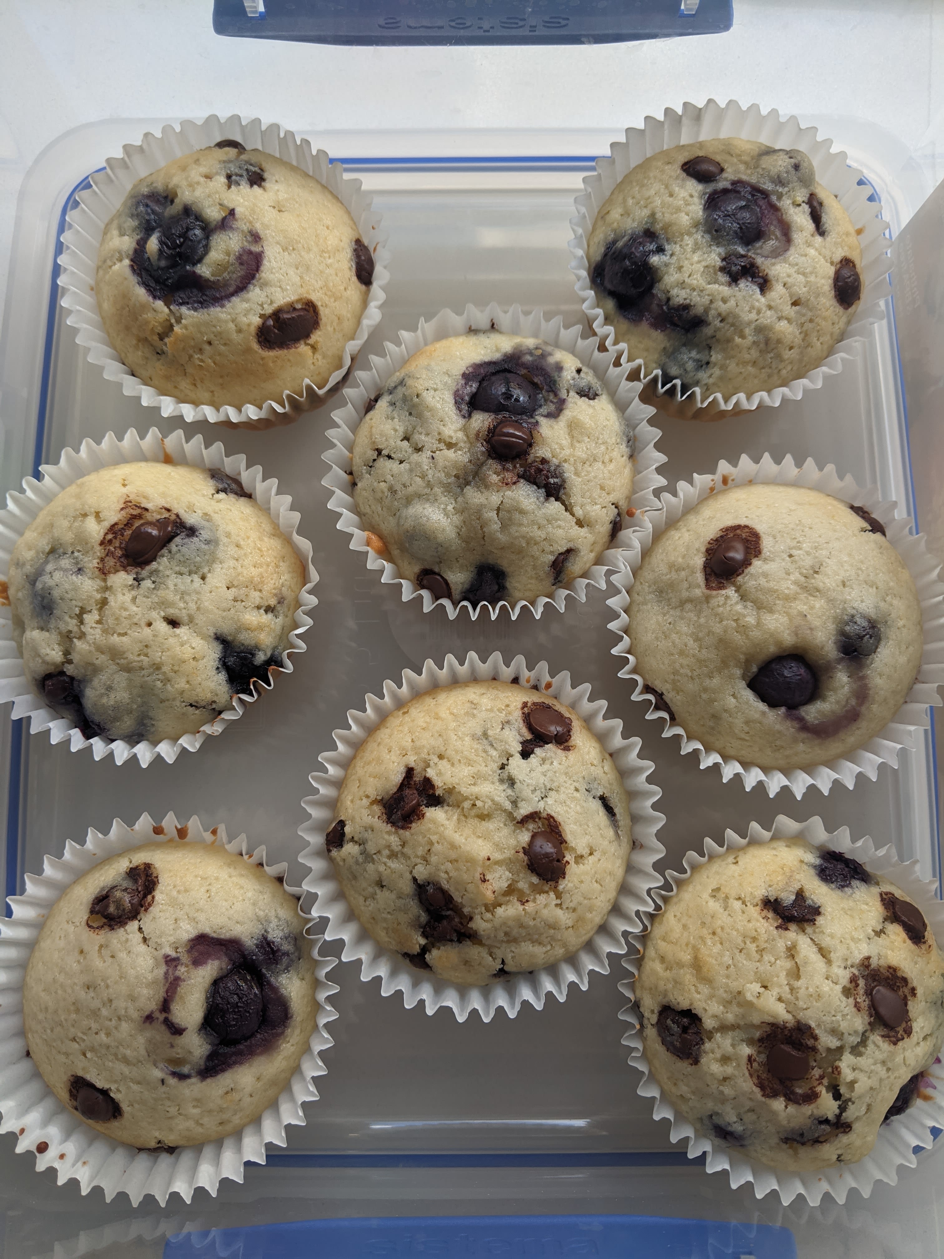 Blueberry & choc-chip muffins | bunch