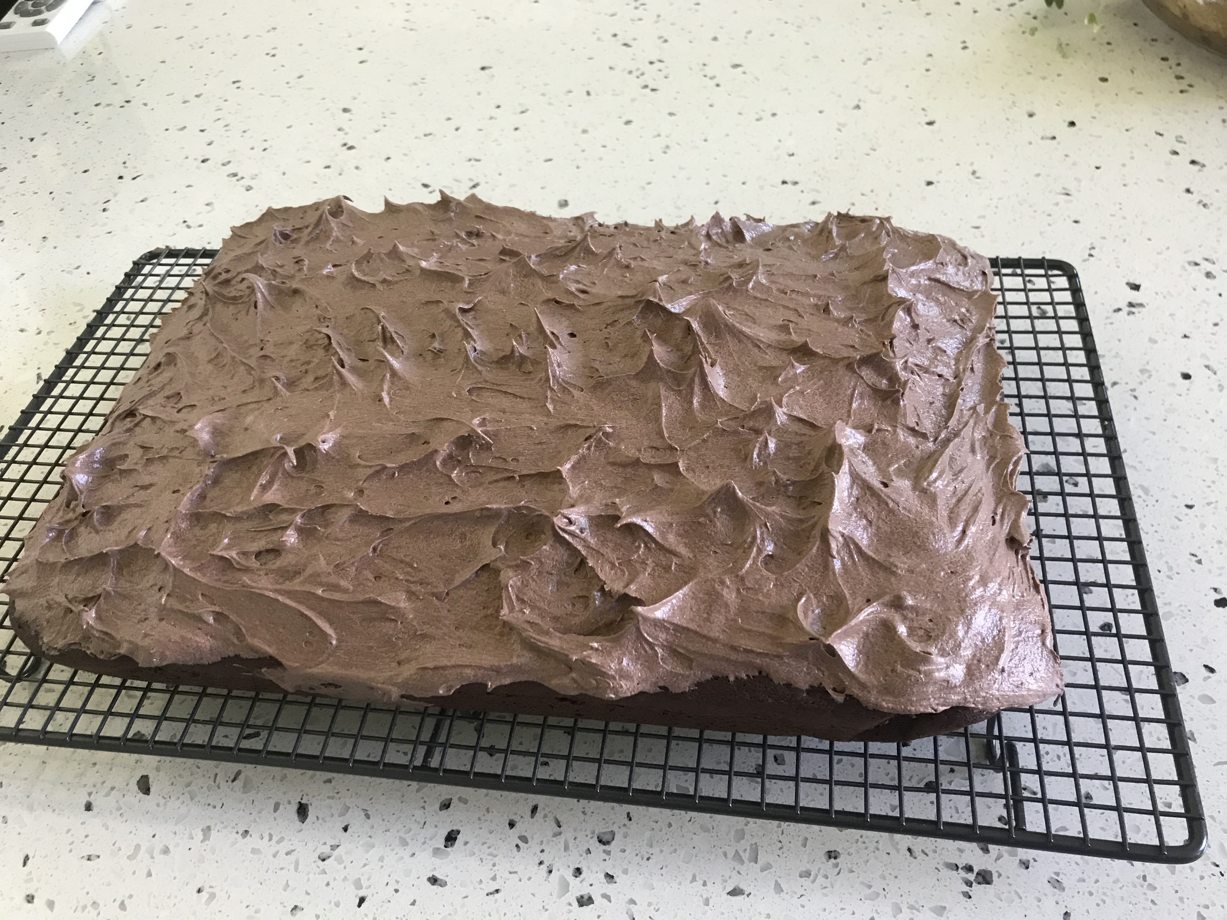 Chocolate iced slab cake | bunch