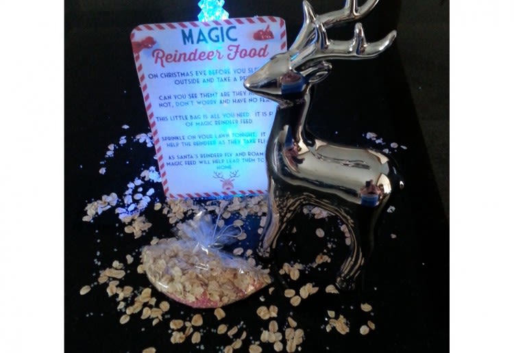MAGIC Reindeer Food | bunch