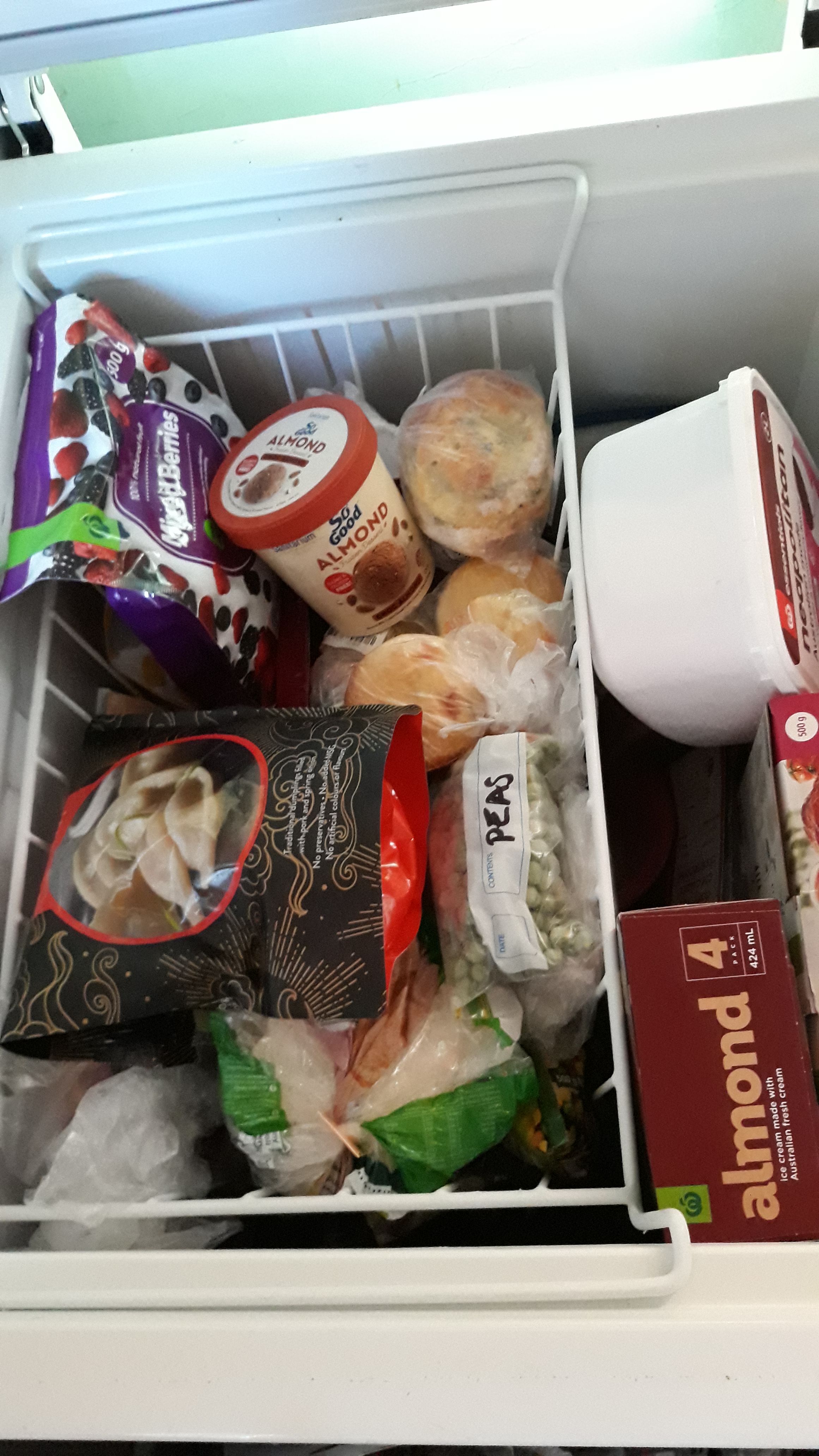 Cleaning out my Freezer | bunch