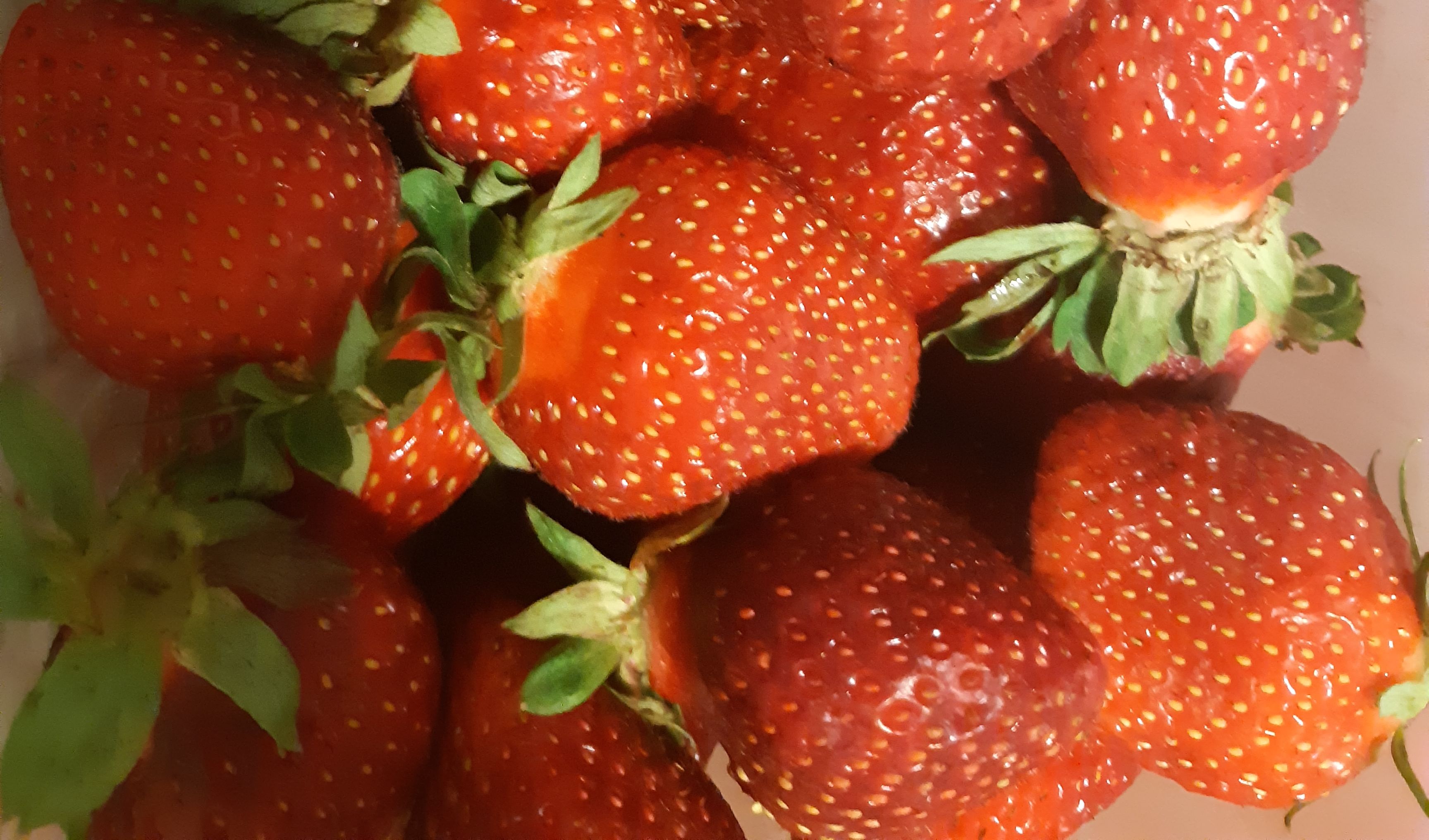 Jimmy's Ice Cream and PYO Strawberries NZ | bunch