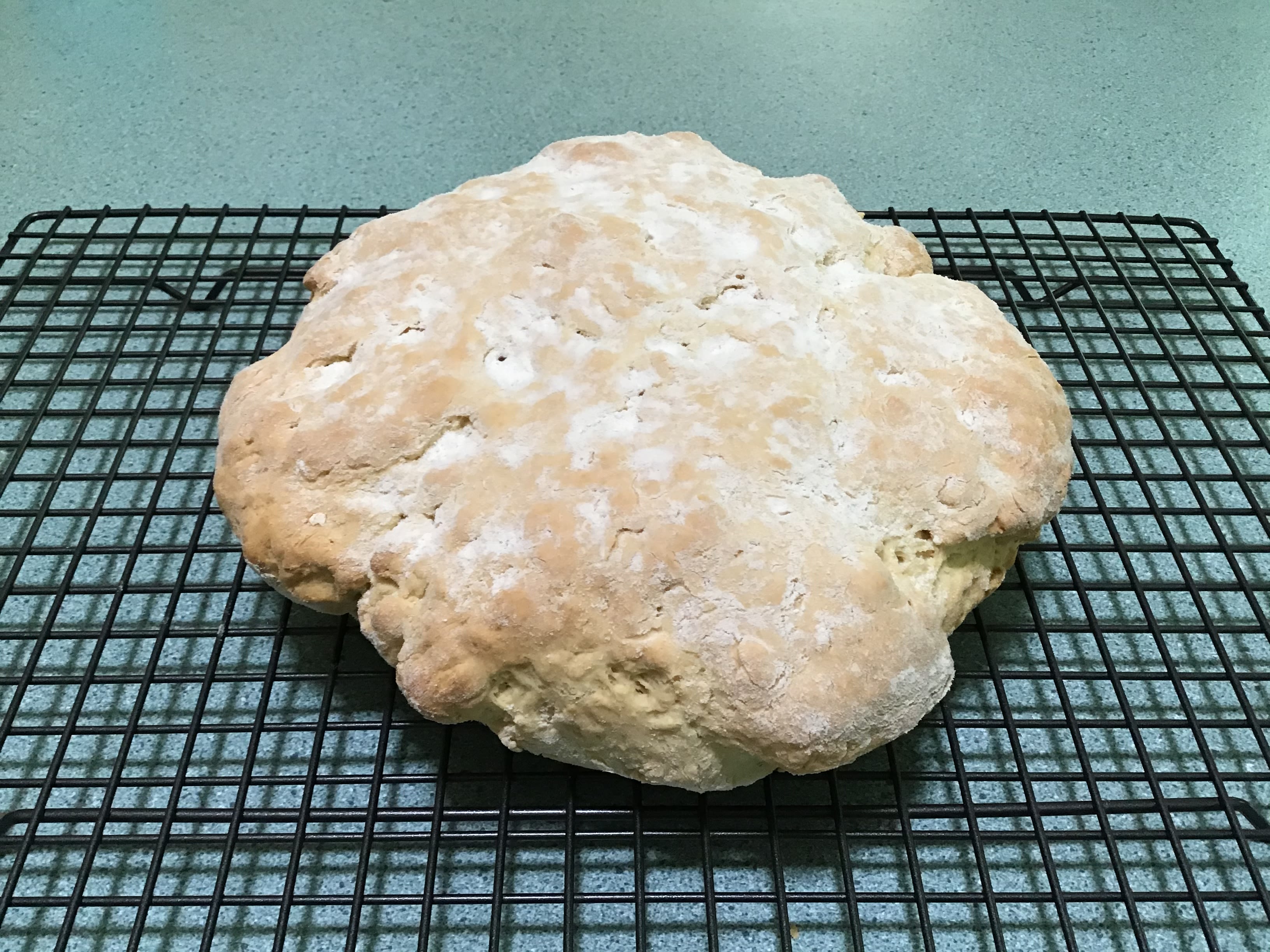 Aussie Damper | bunch