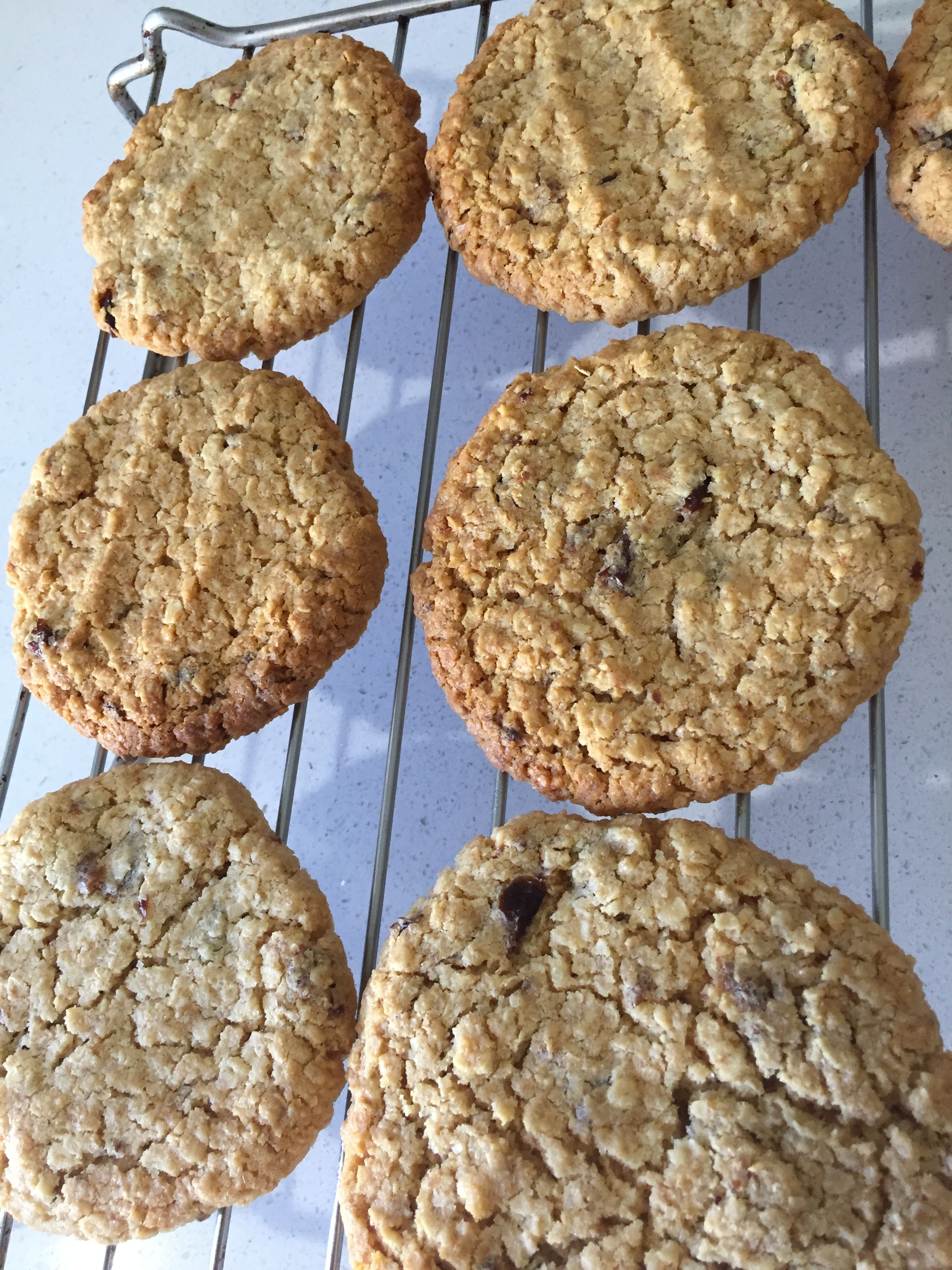 Oat and sultana cookies | bunch