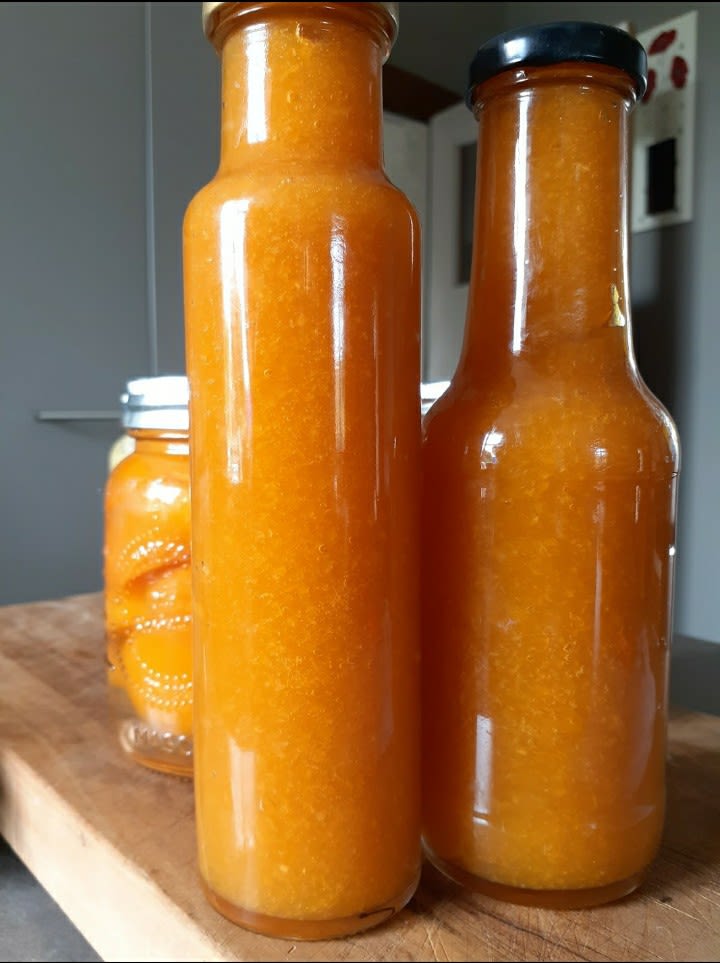 Apricot Sauce | bunch