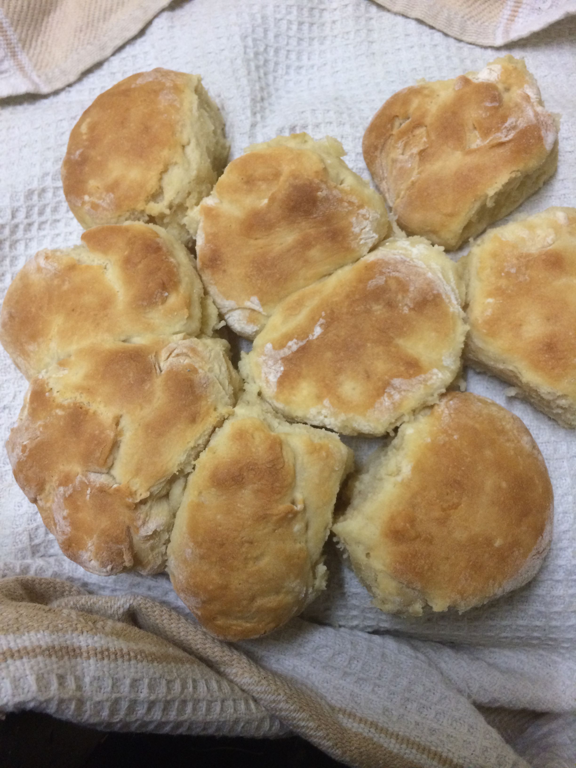 3 ingredients scones | bunch