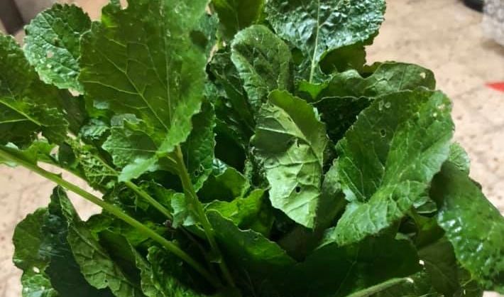 Sicilian Wild Vegetables | bunch