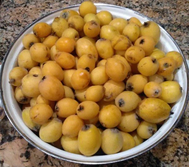 Loquats (Nespole) | bunch