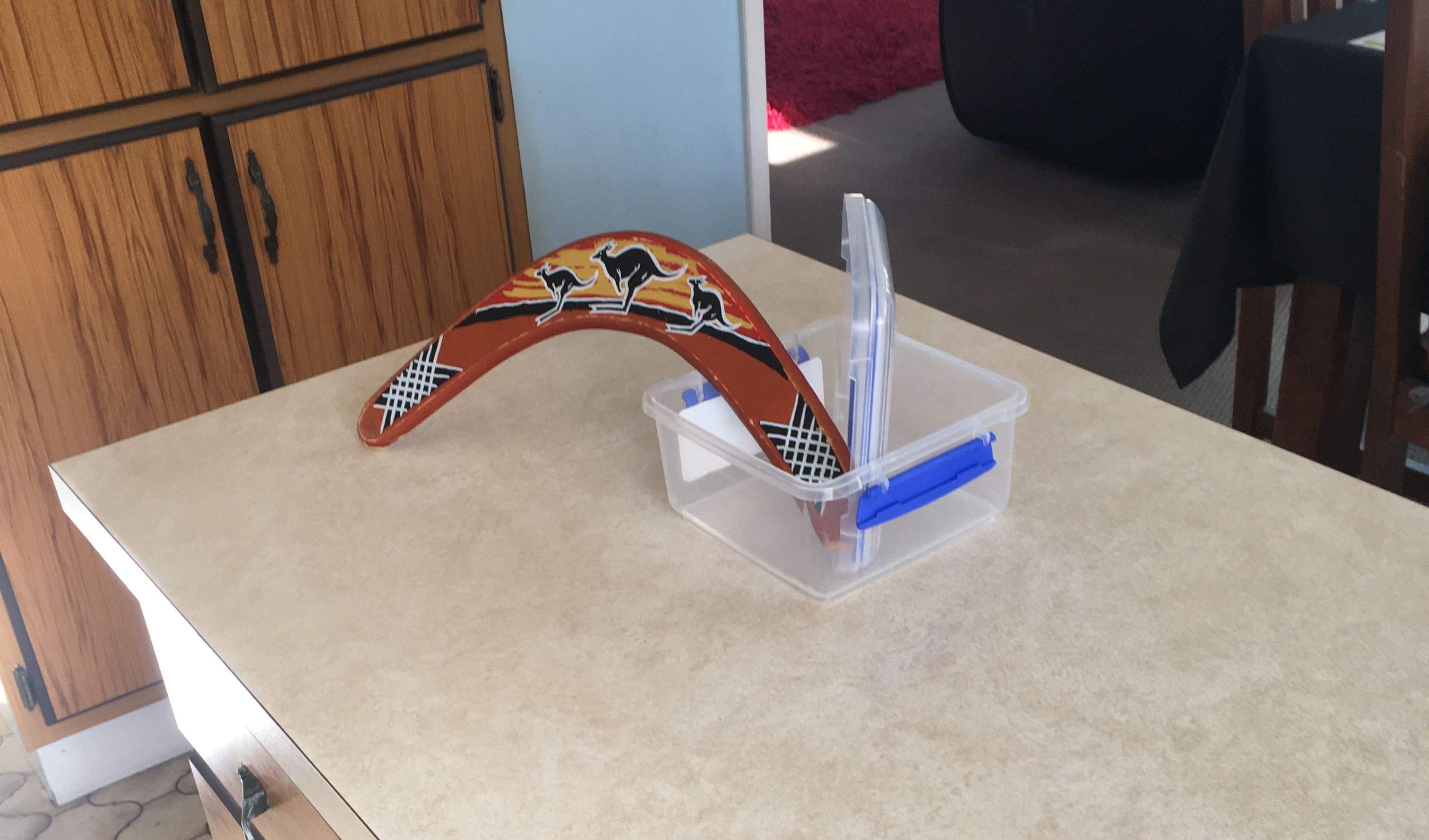 The Boomerang Container | bunch