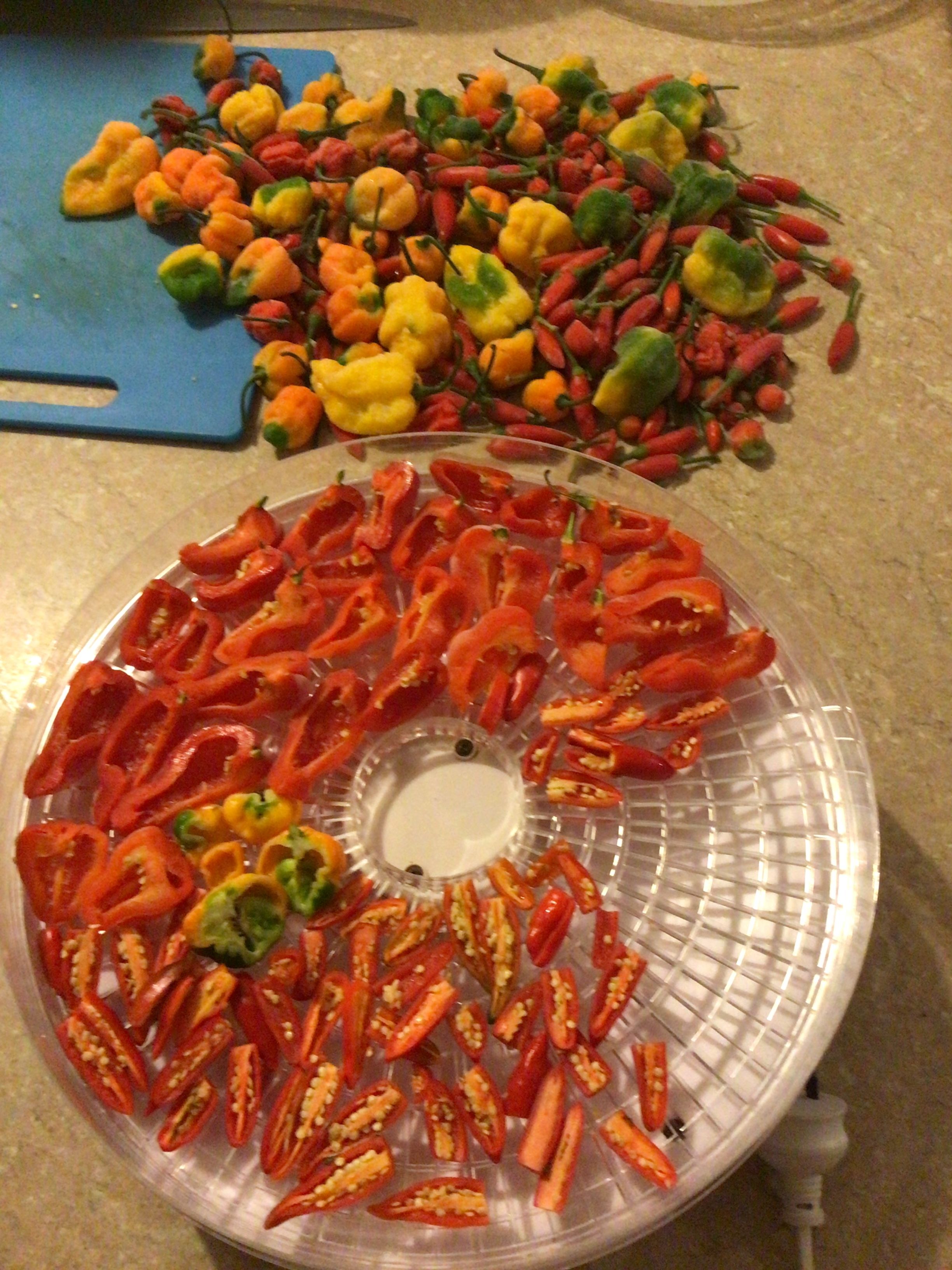 Making your own Chilli powder. | bunch