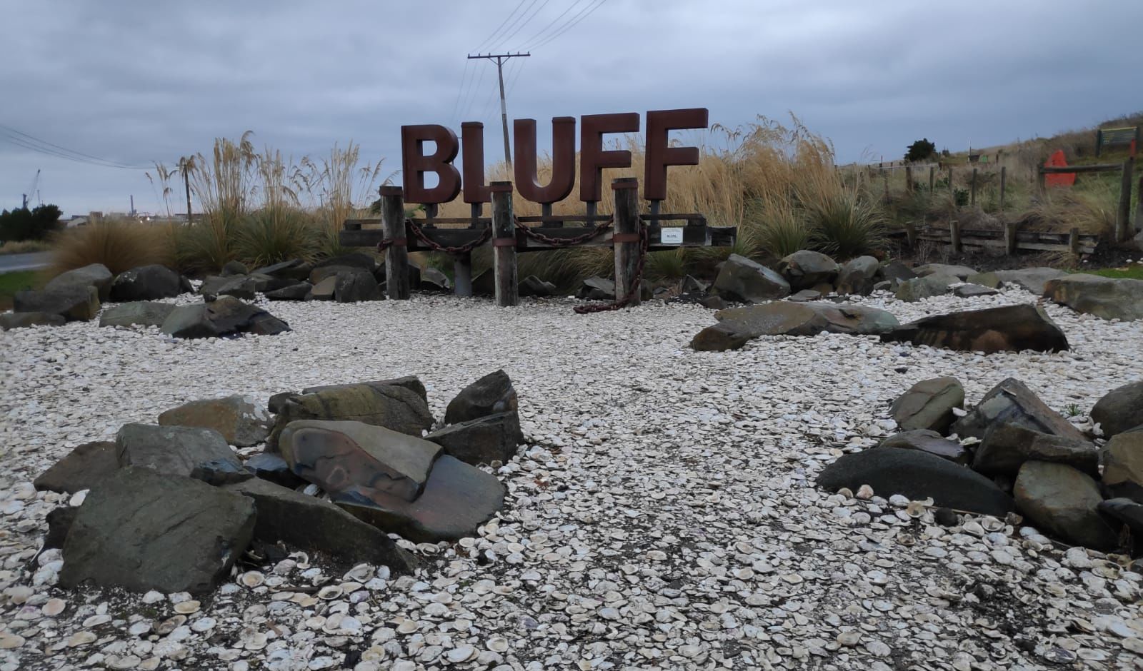South Island Day 4 Travel - Bluff | bunch